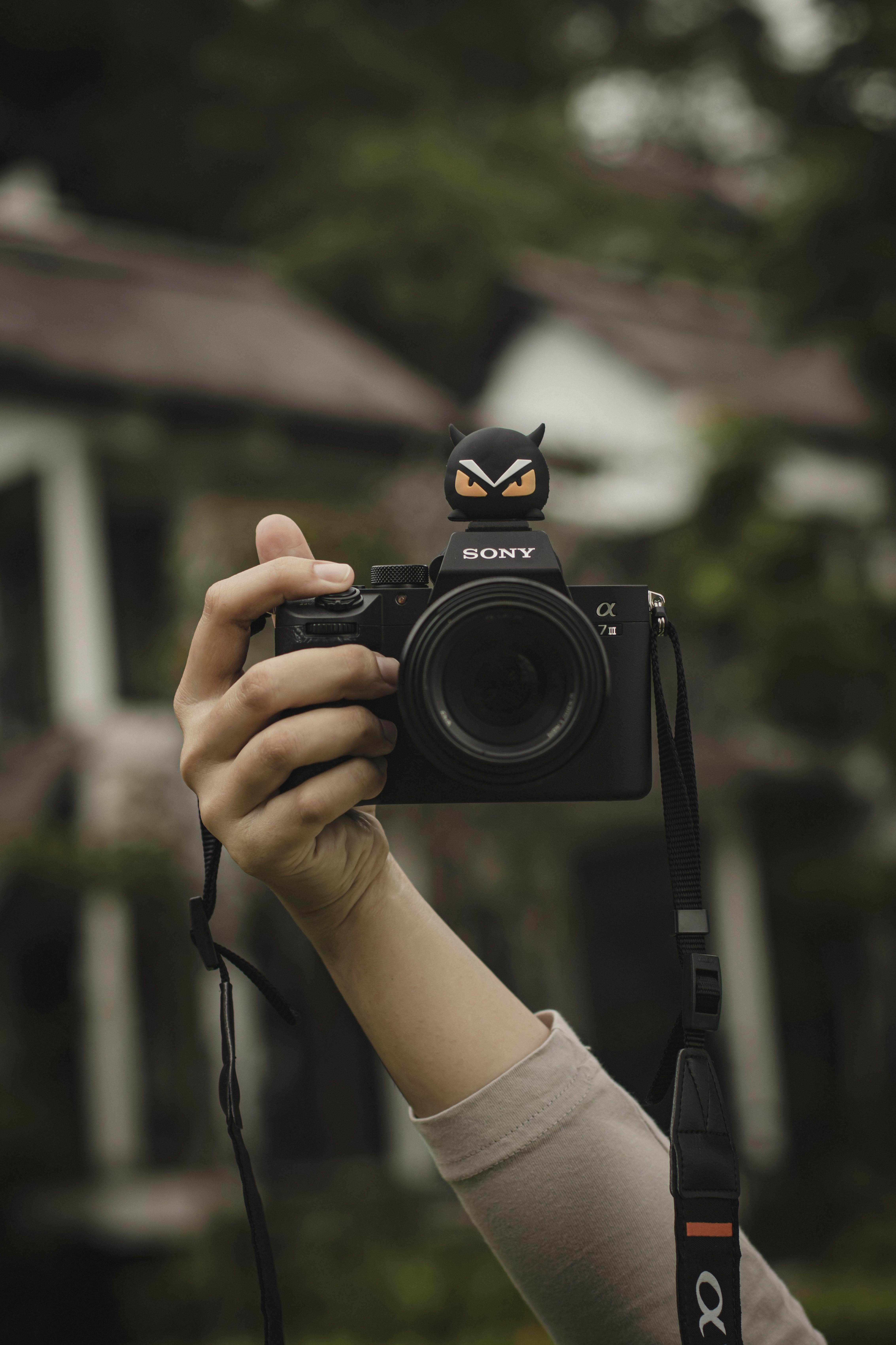 Sony A7 Iv Photography Photos, Download The BEST Free Sony A7 Iv ...