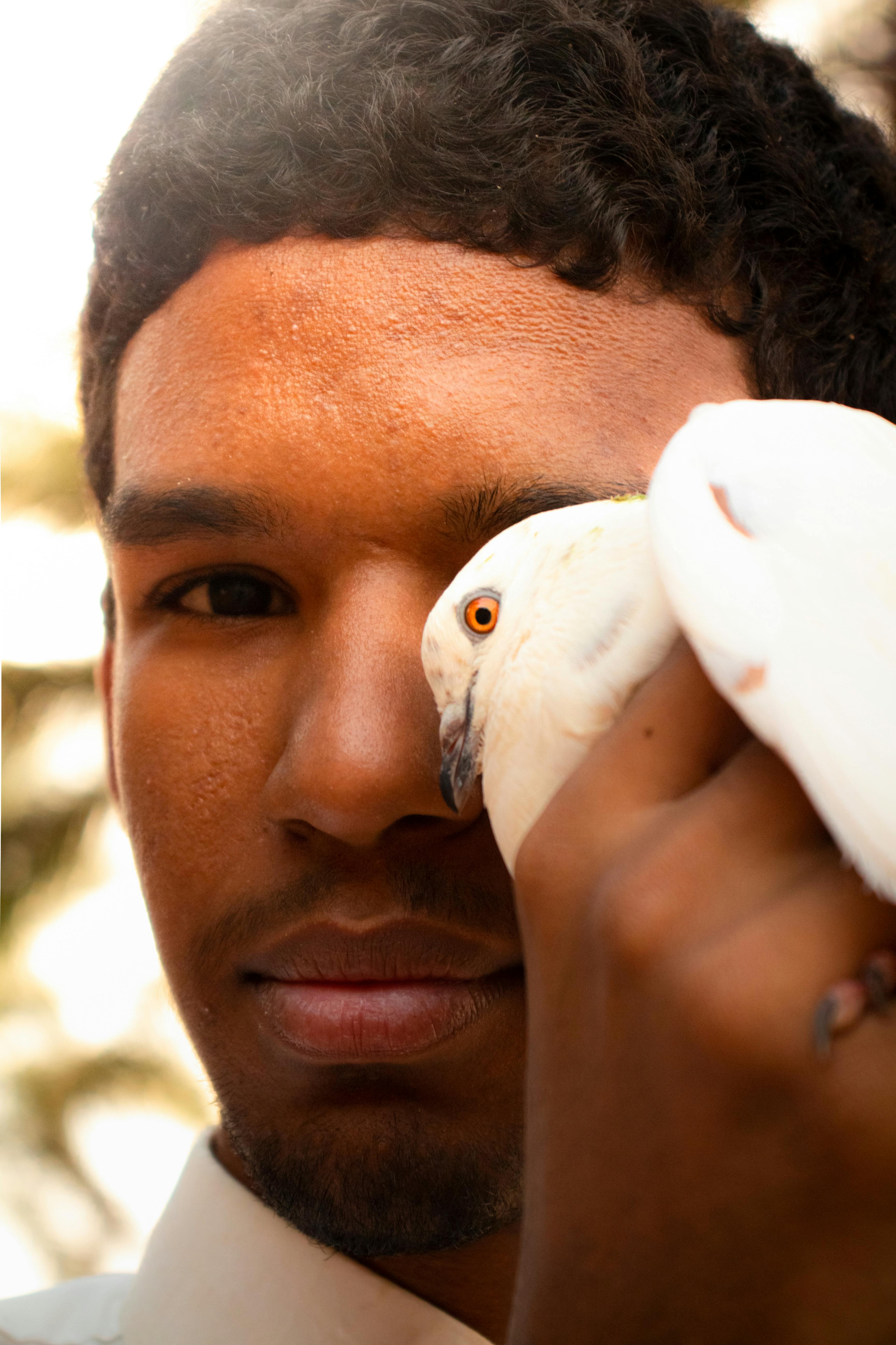 Man Holding a White Bird · Free Stock Photo