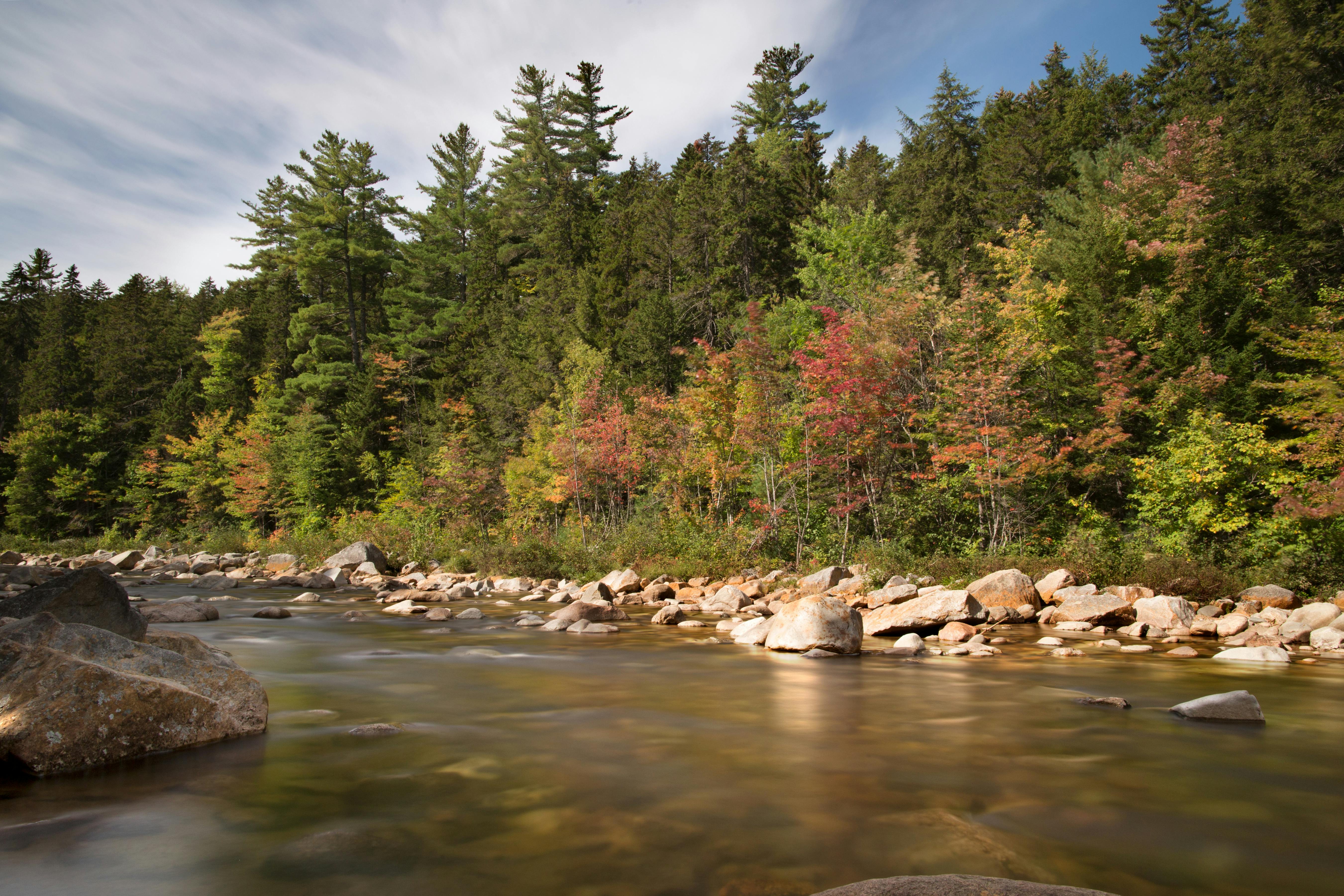 Nature Landscape Fall River