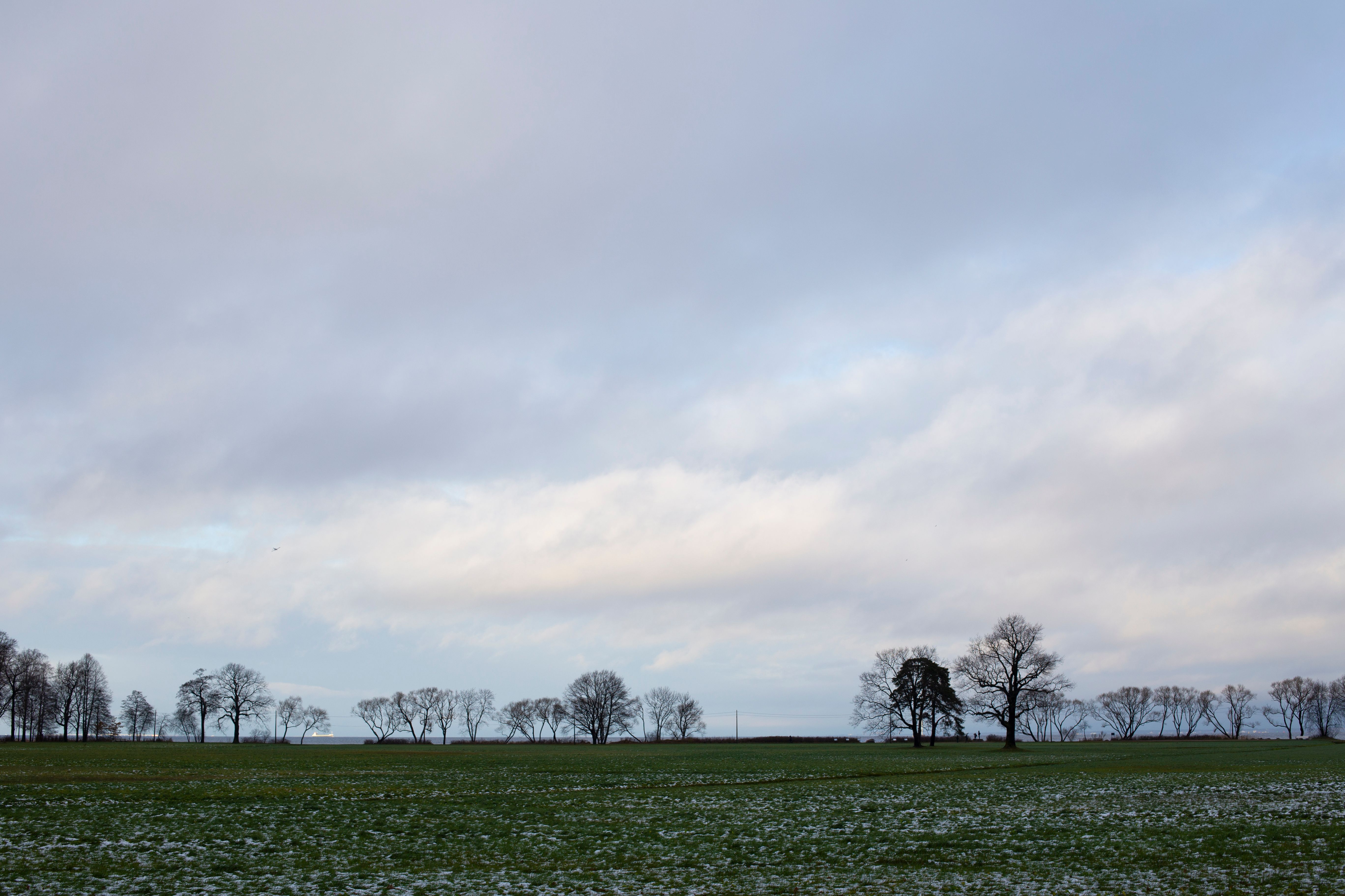 A Grassy Field · Free Stock Photo