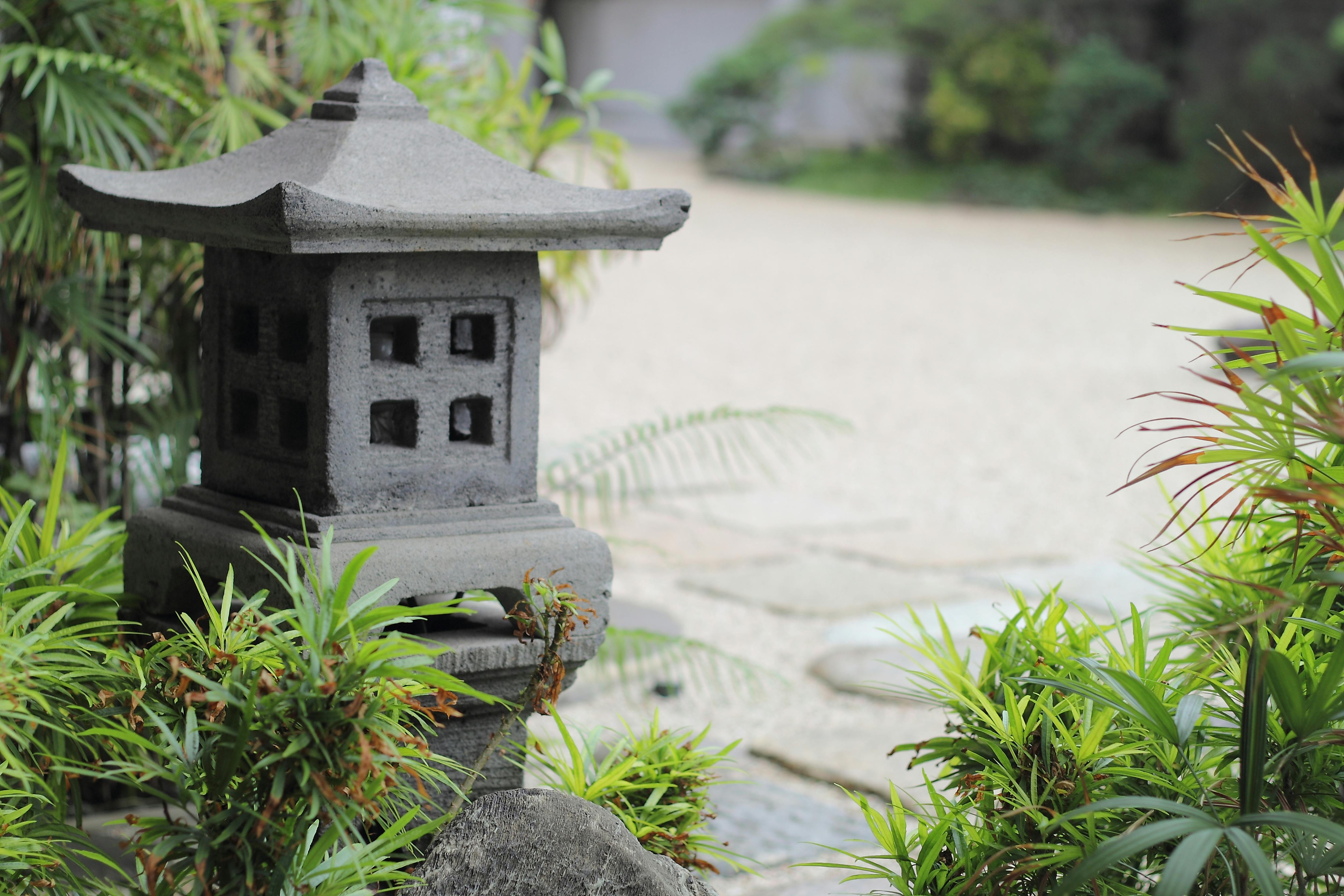 Green Plants on a Plant Box · Free Stock Photo