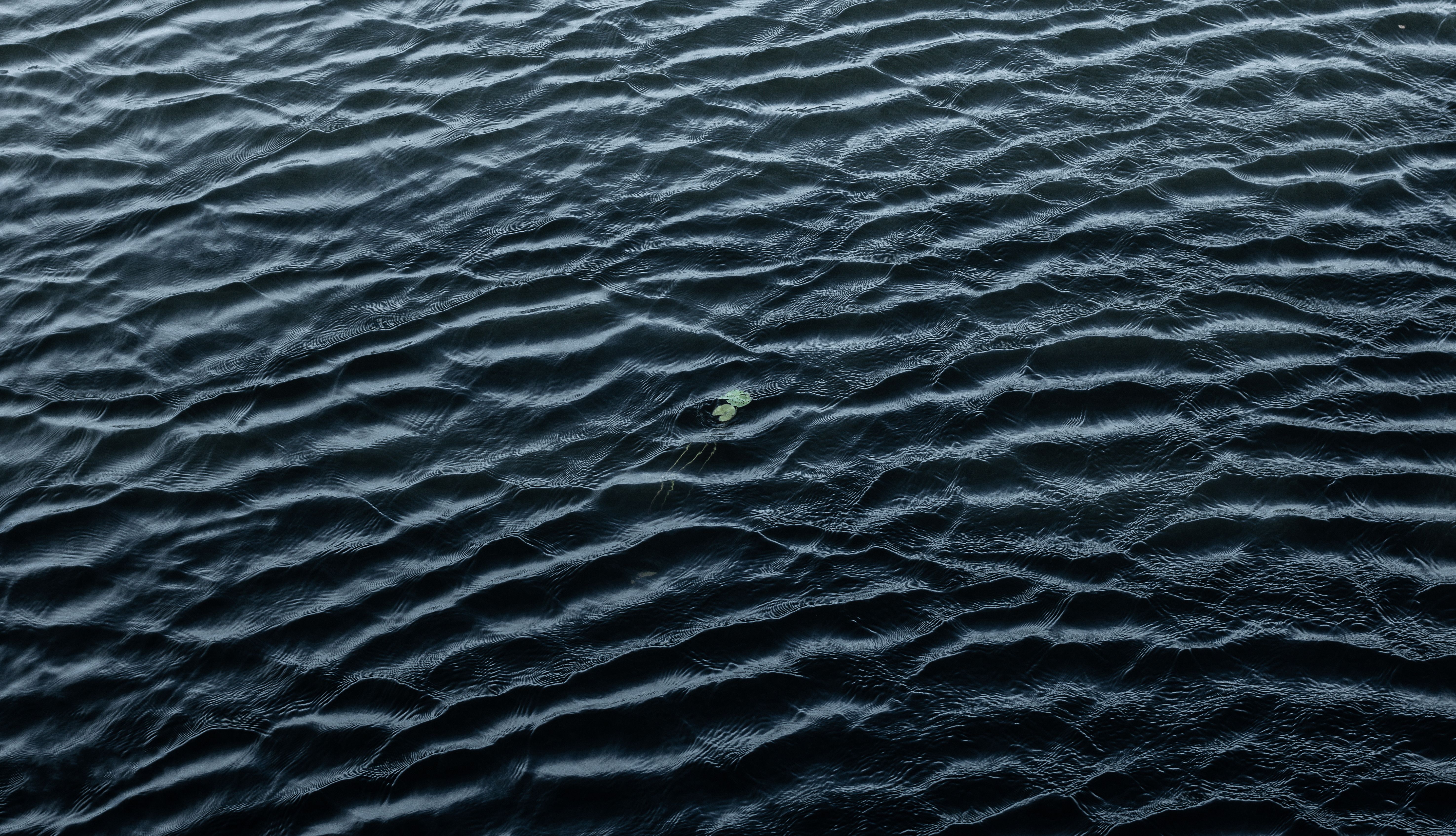 Wrinkled Surface of Sea · Free Stock Photo
