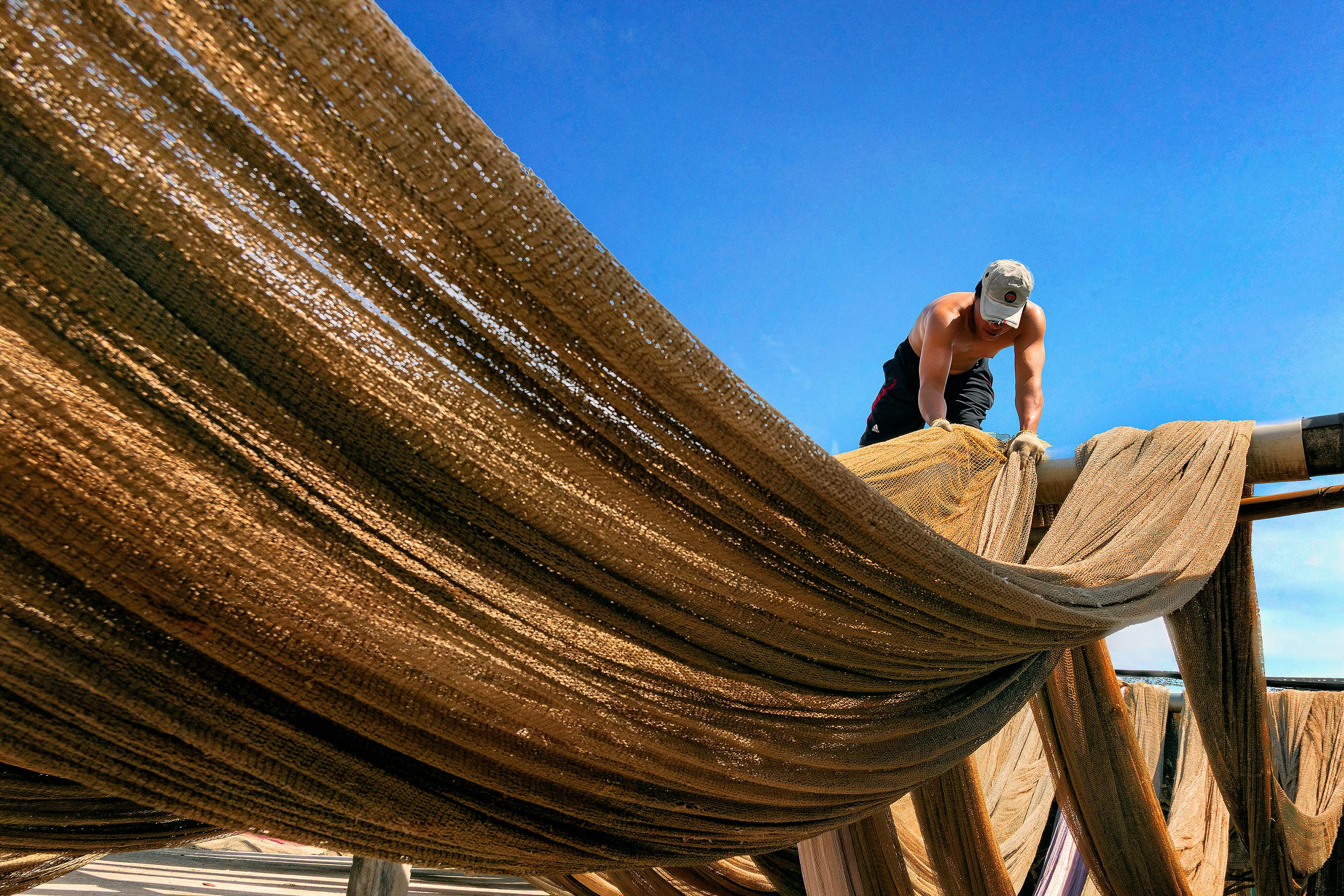 A Shirtless Man Hanging Nets · Free Stock Photo