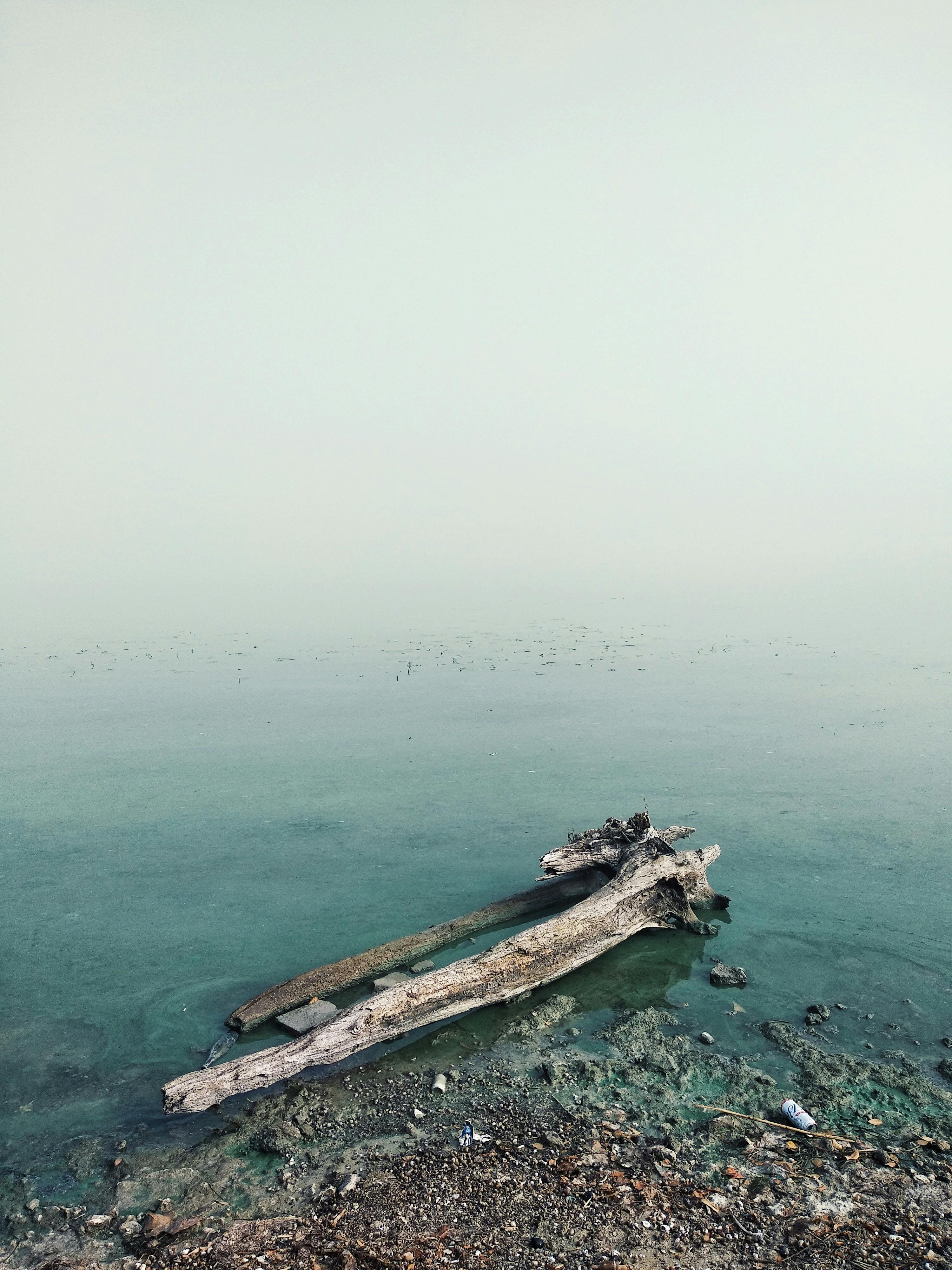 Log Cabin Pond Photos, Download The BEST Free Log Cabin Pond Stock ...