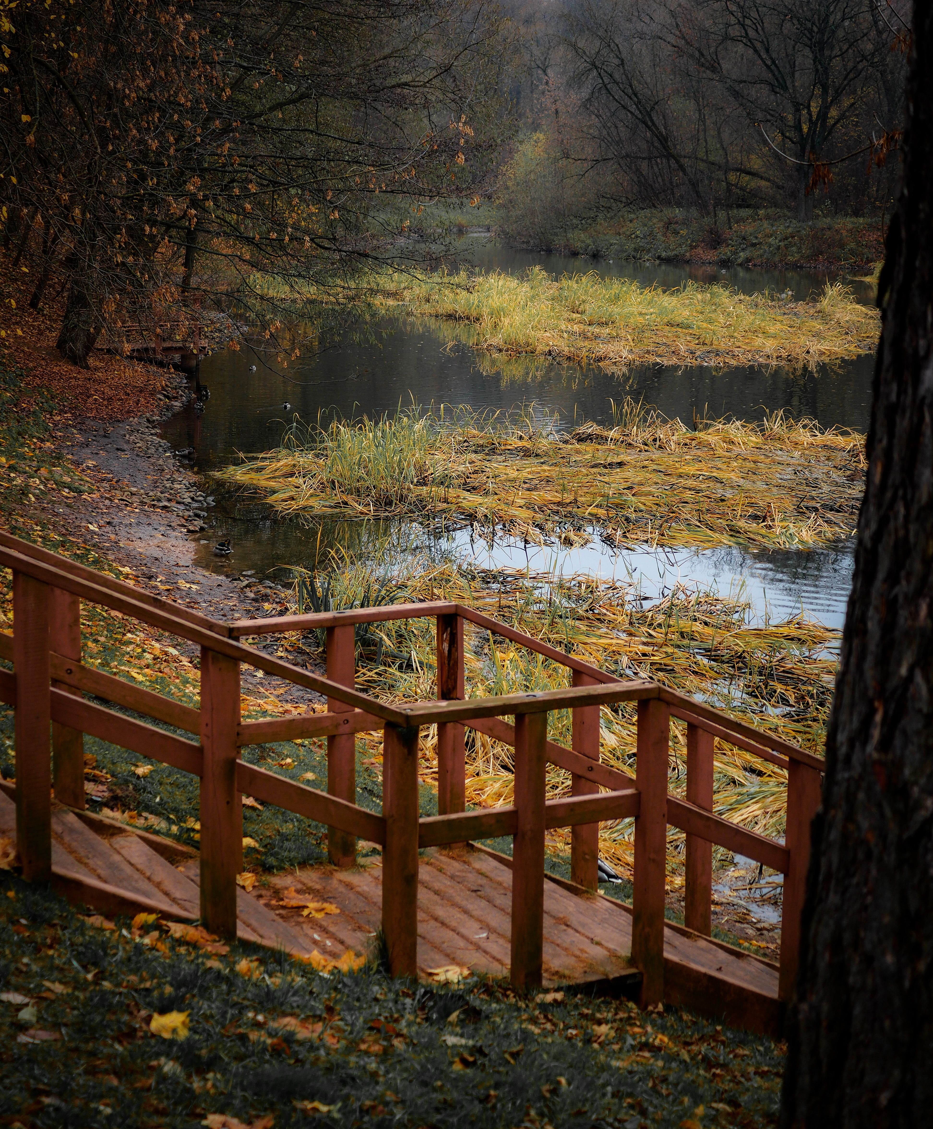 Brown Wooden Fence Near River · Free Stock Photo