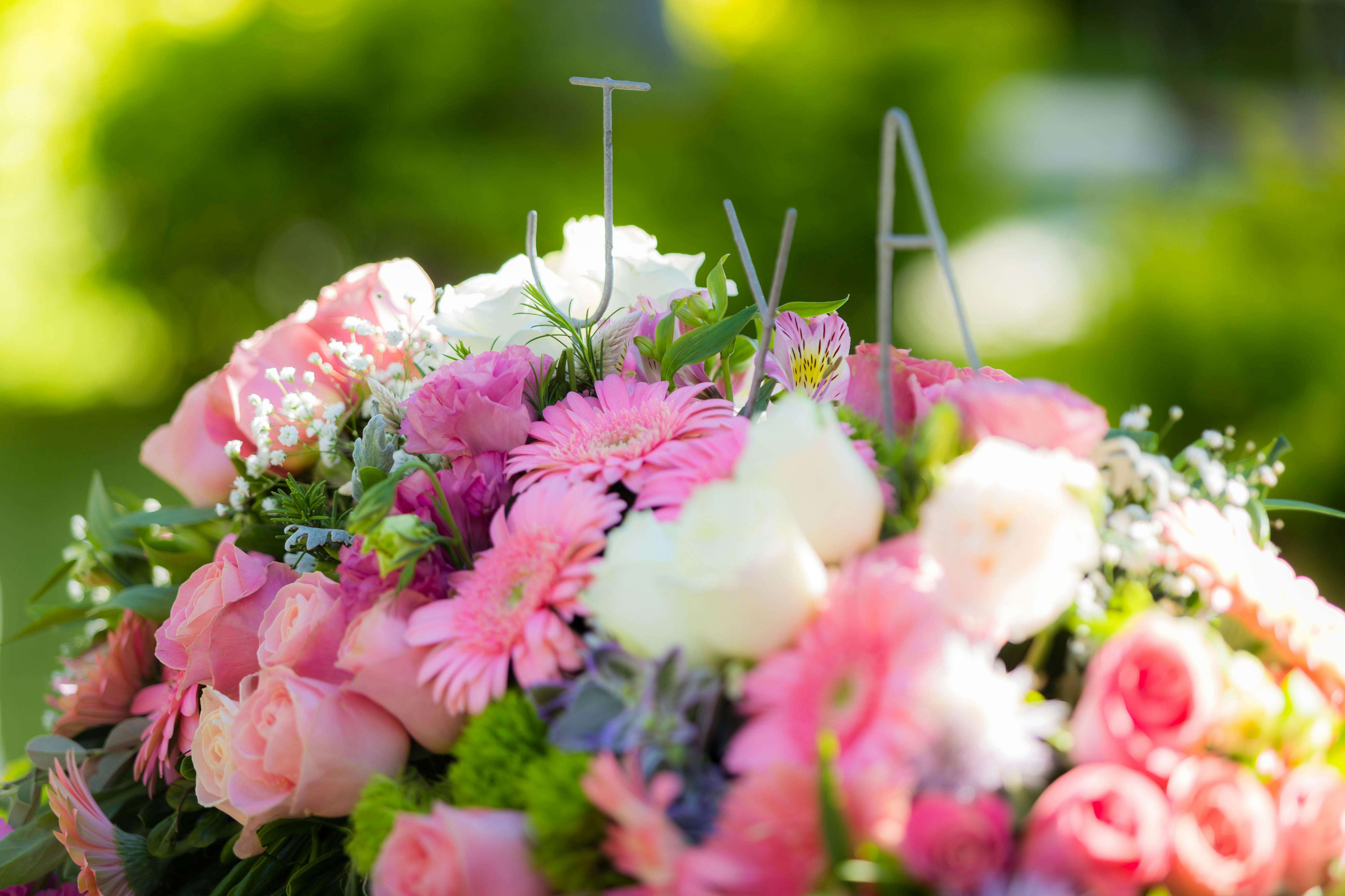 Initiatives Photos, Download The BEST Free Initiatives Stock Photos ...