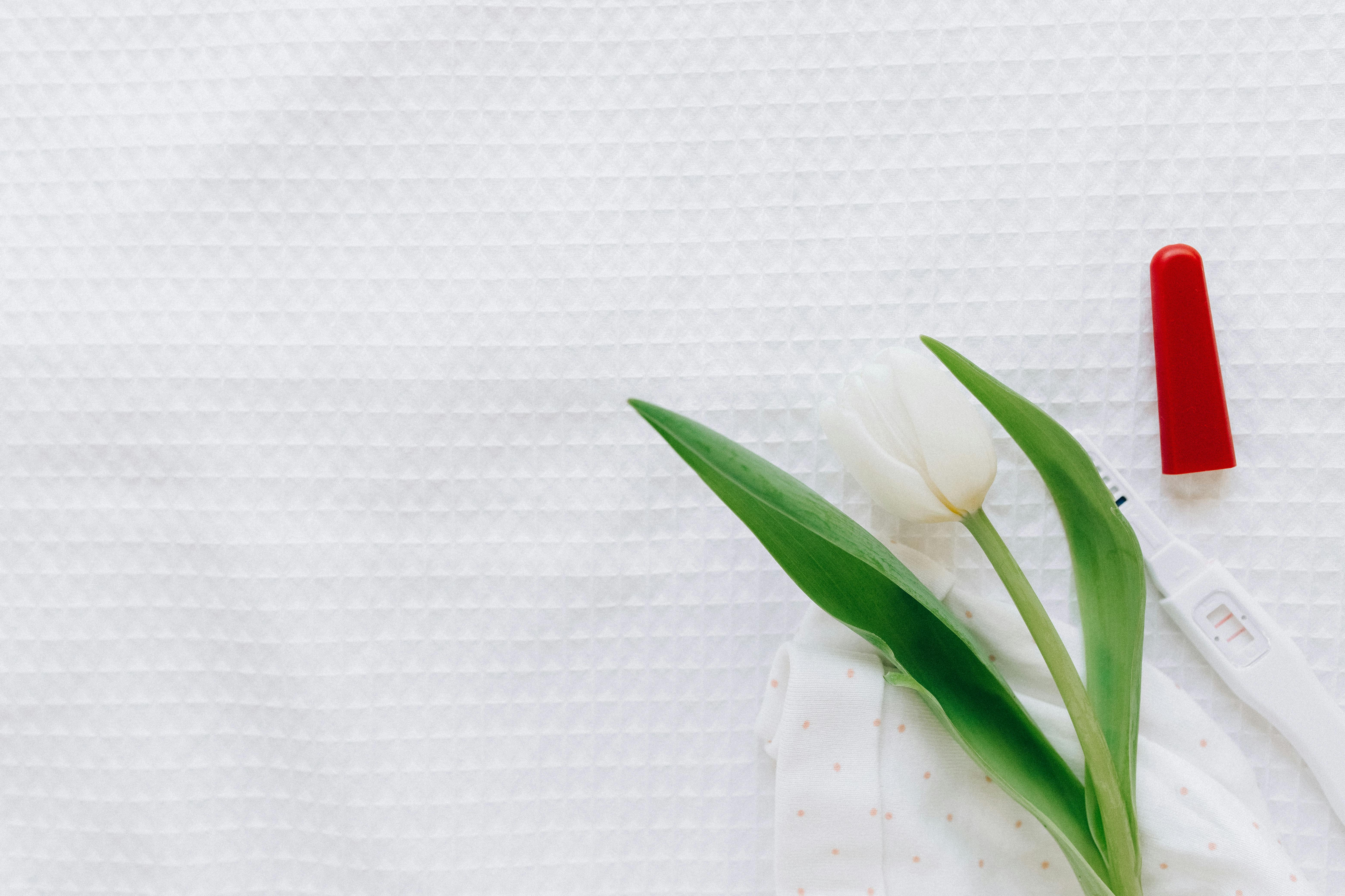 Bloom Test Photos, Download The BEST Free Bloom Test Stock Photos & HD ...