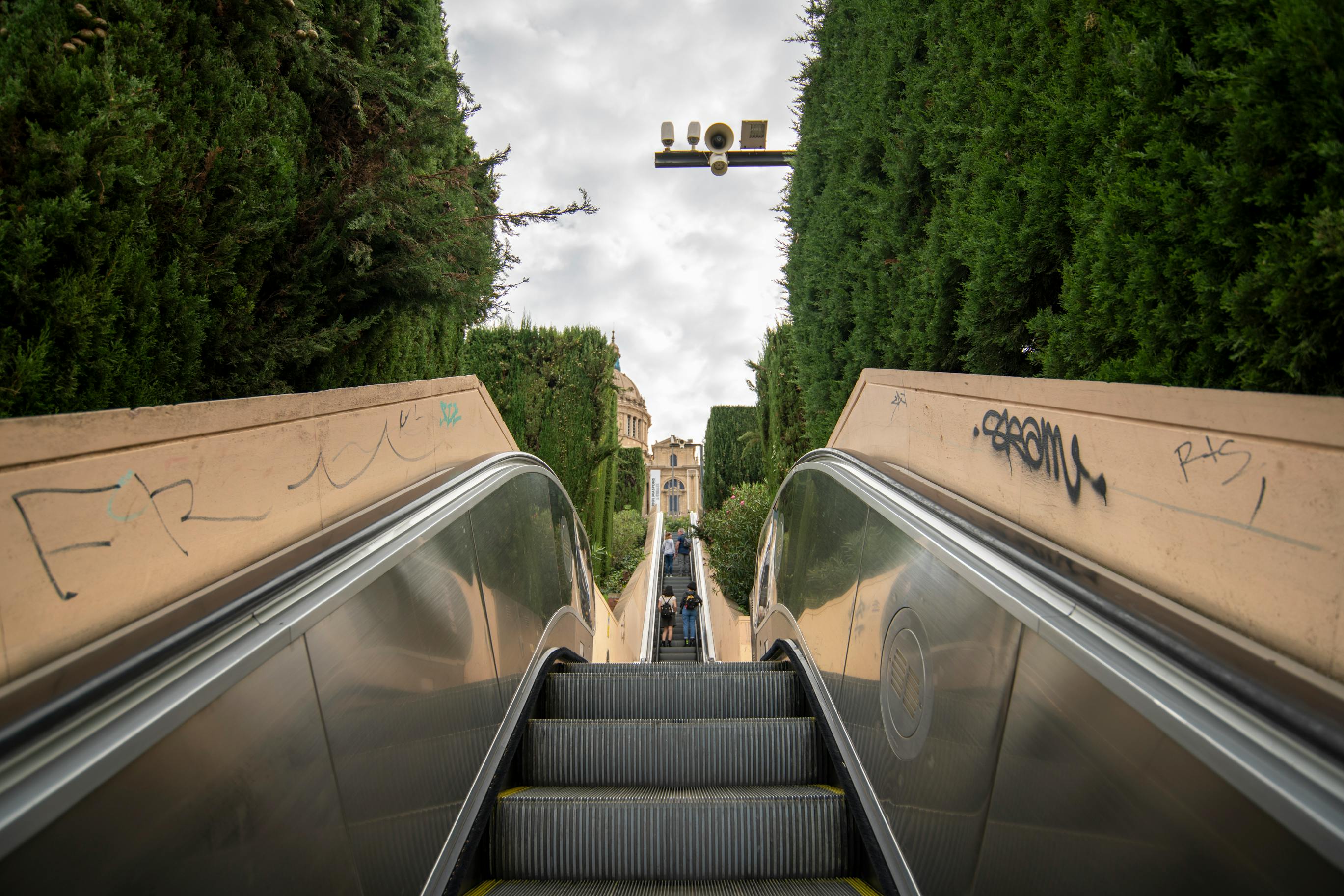 Gray Escalator Between Green Trees · Free Stock Photo