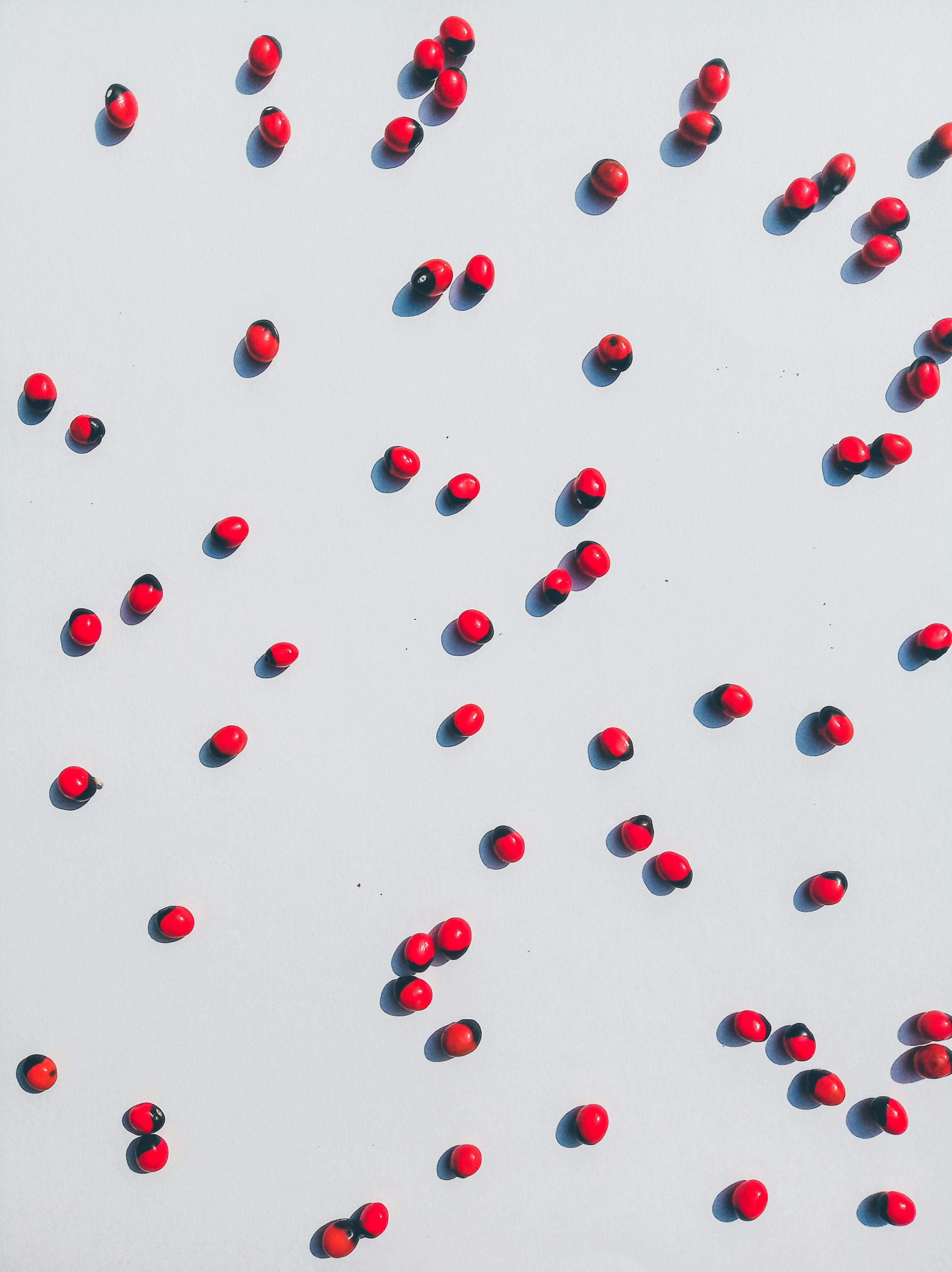 Appetizing Color Palette Photos, Download The BEST Free Appetizing ...