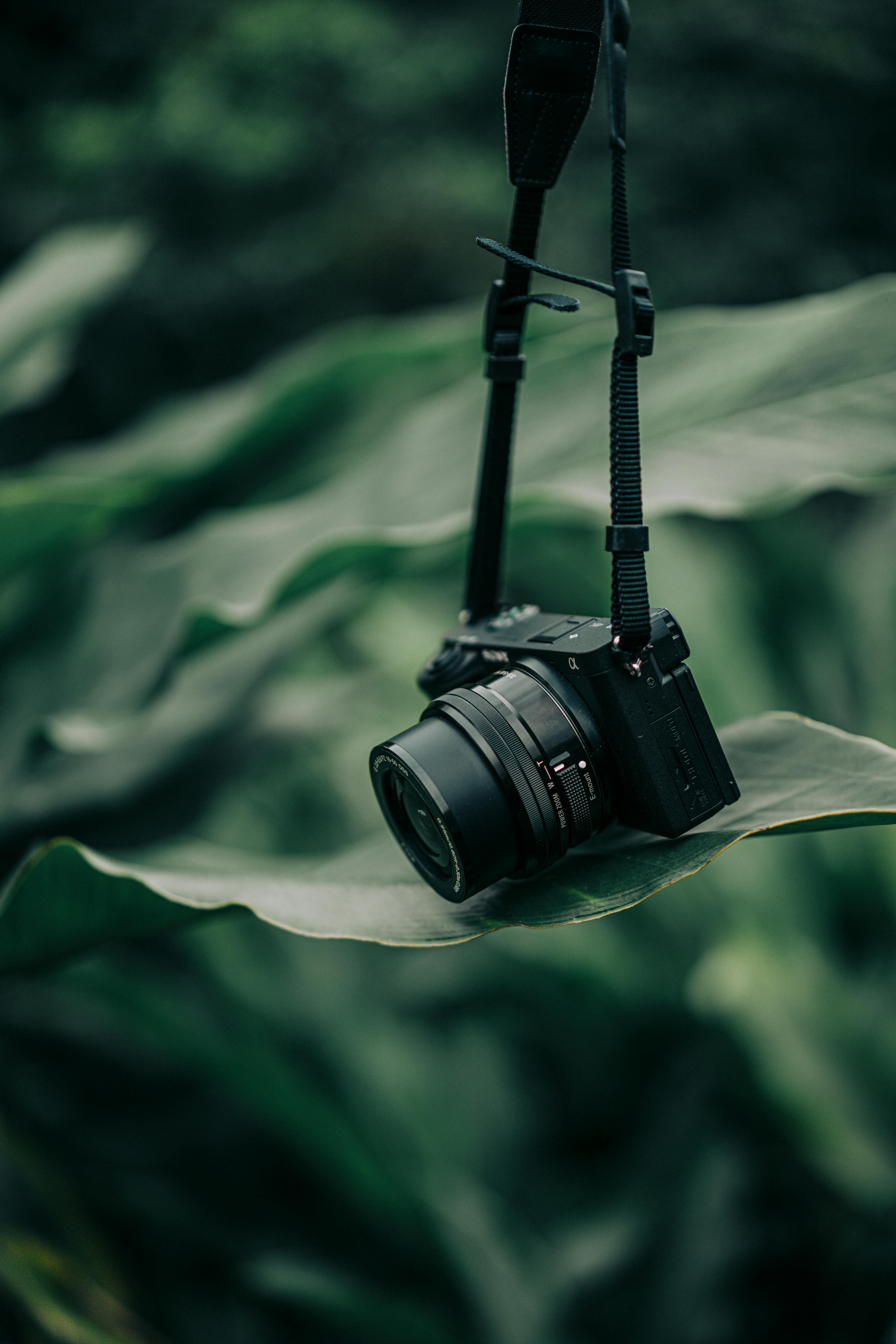Black Camera on the Ground · Free Stock Photo