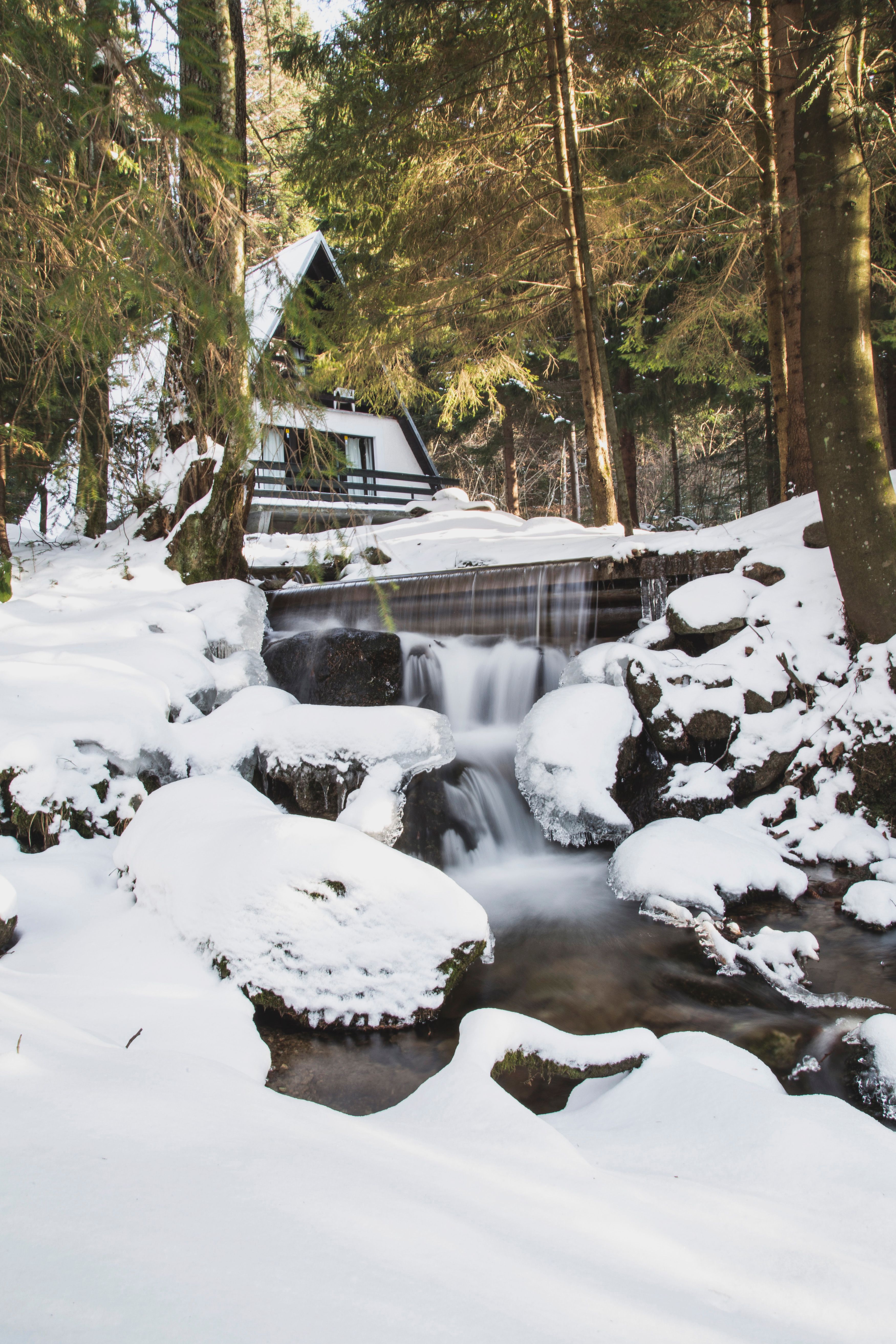 Water Flowing Through Snow Covered Forest · Free Stock Photo