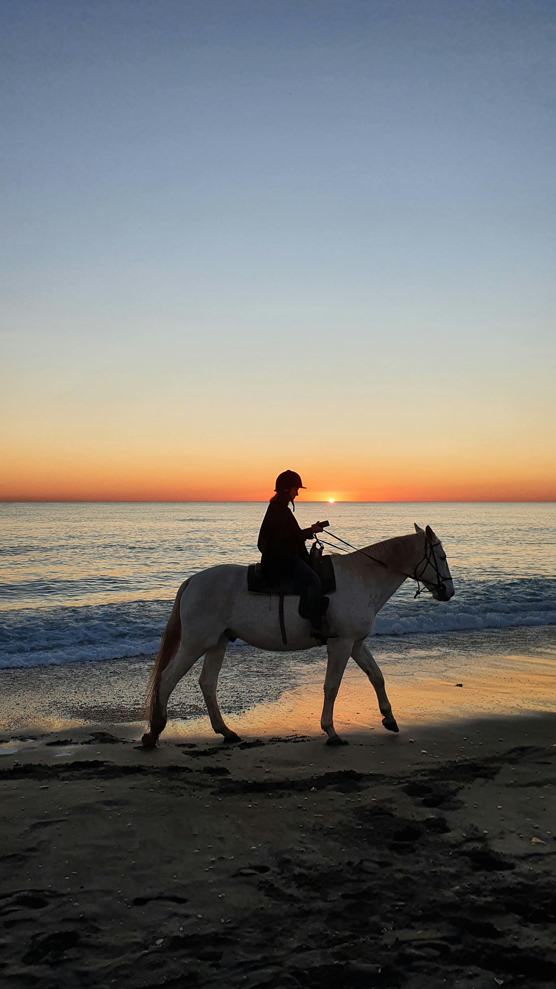 Person Horseback Riding on a Beach at Sunset · Free Stock Photo