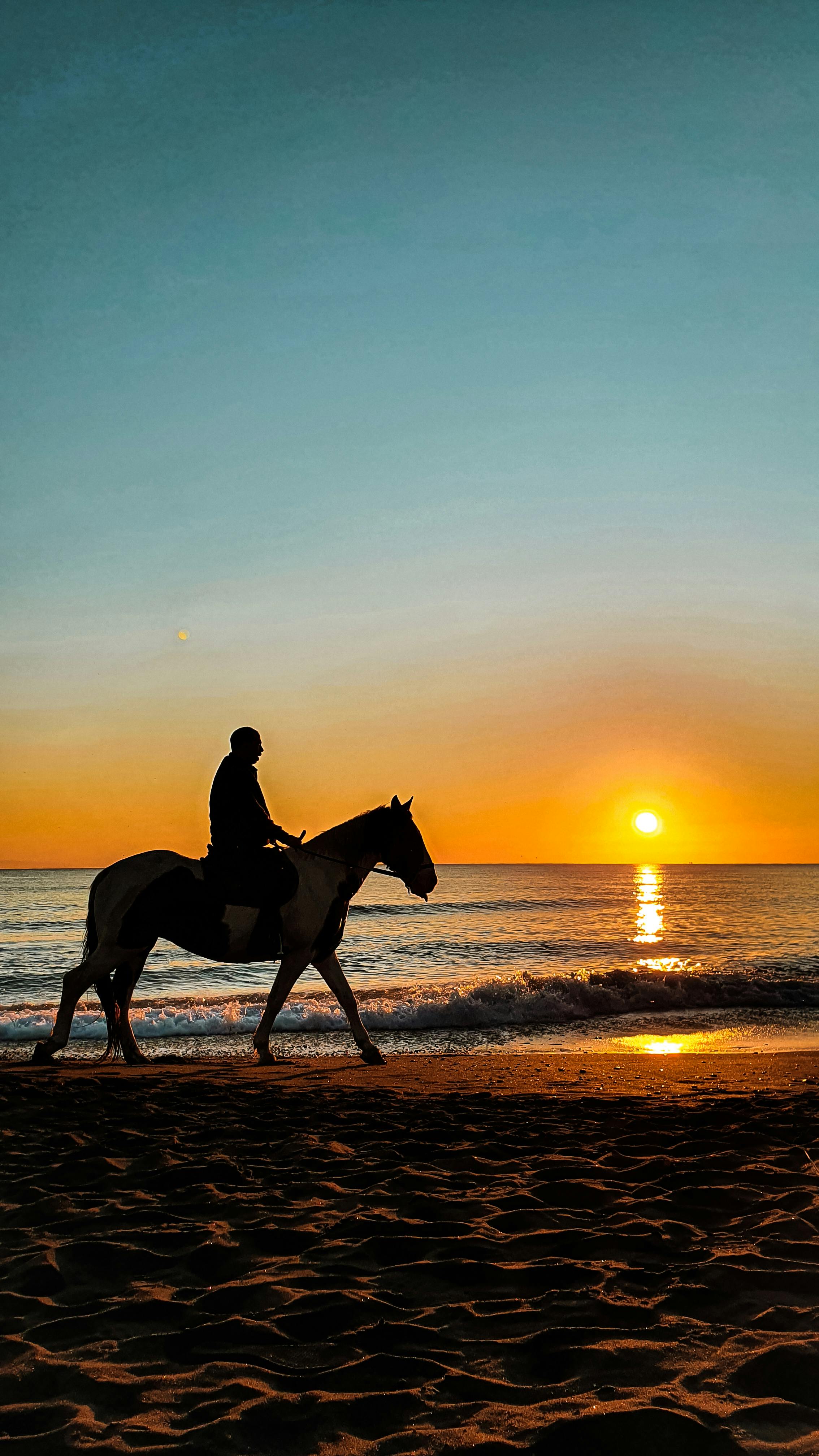 People Horseback Riding along Sea at Sunset · Free Stock Photo