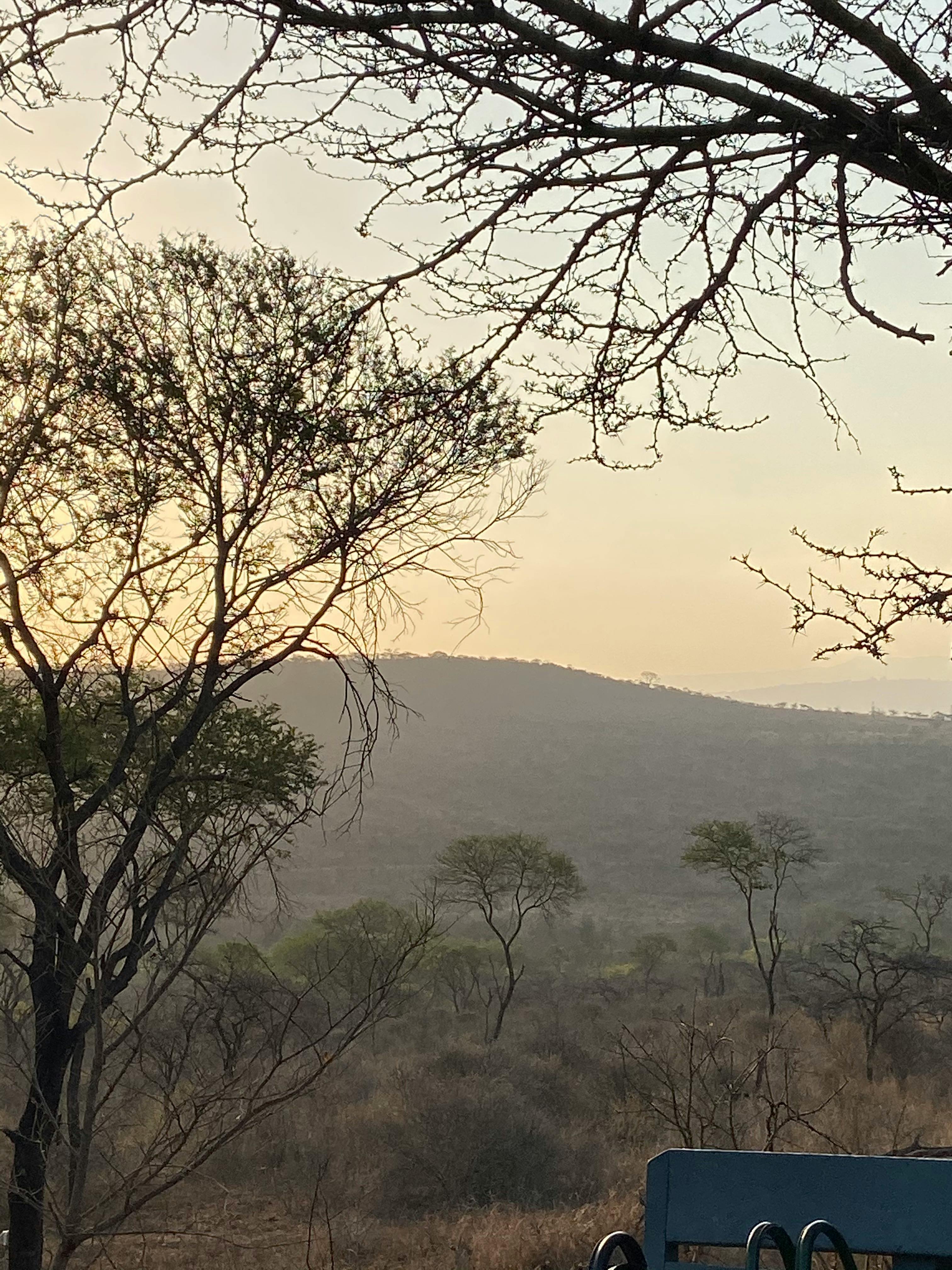 Minenhle Shelembe – Fotografie