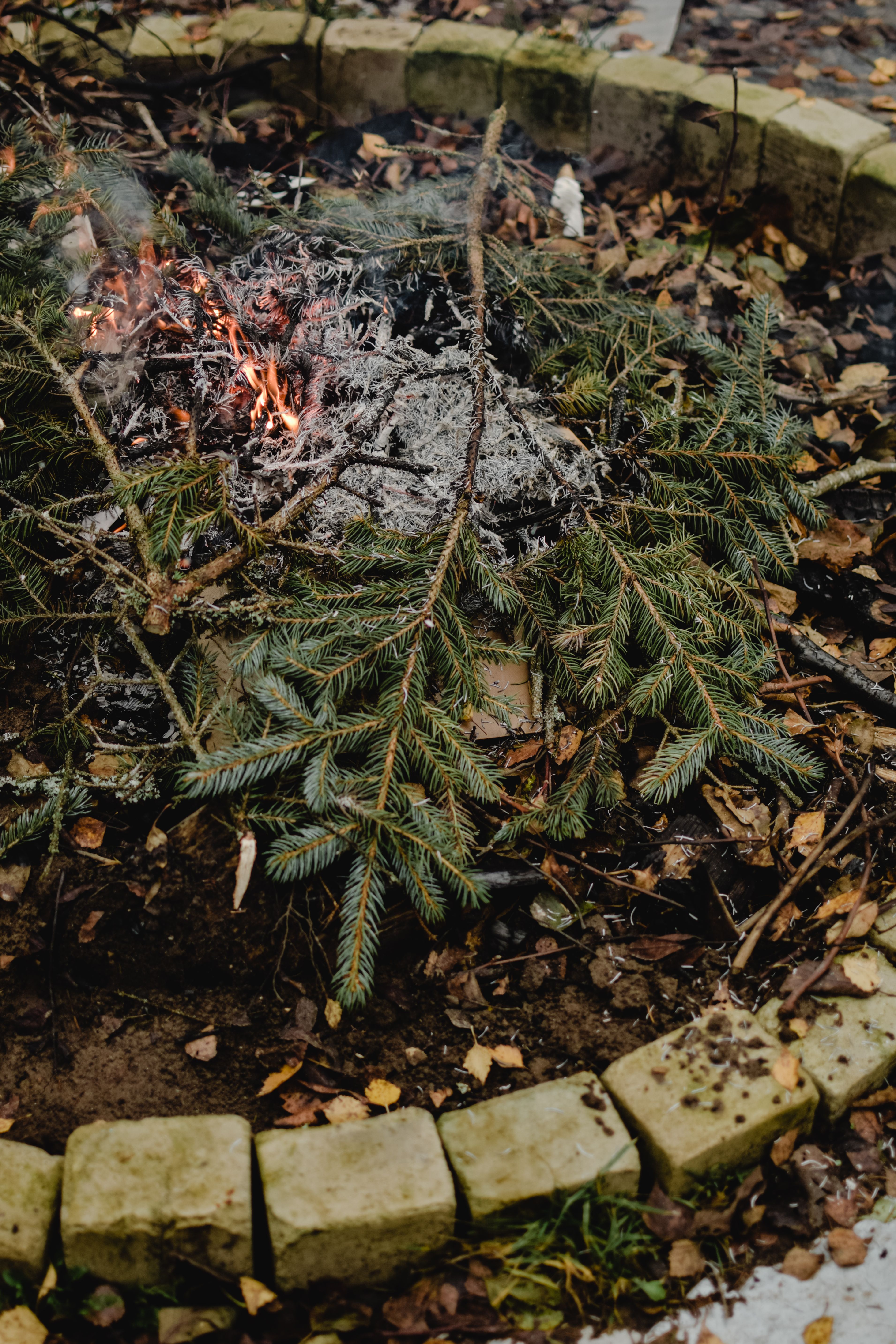 4,000+ Best Fire Pit Photos · 100% Free Download · Pexels Stock Photos