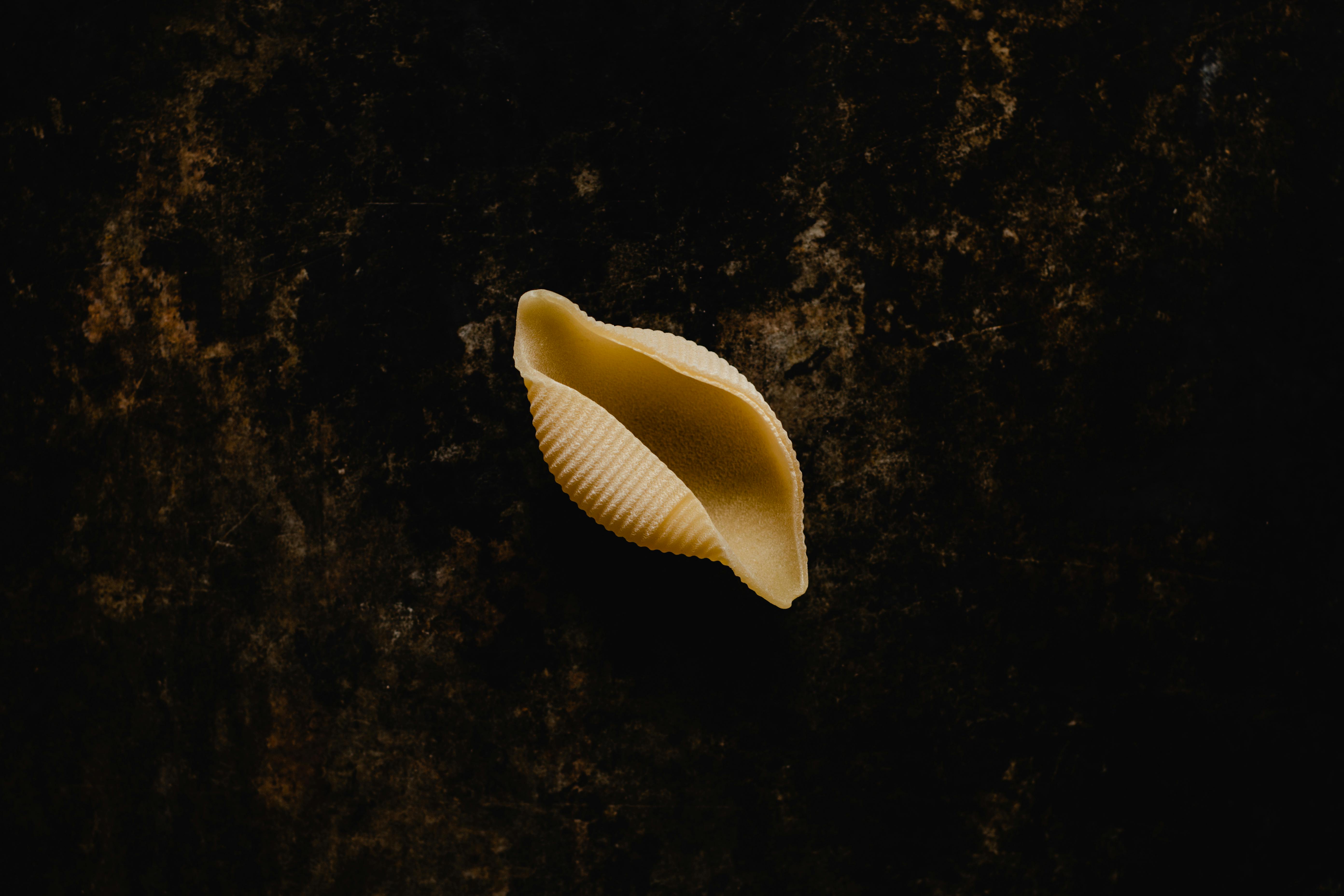 A Pasta Shell on the Black Surface · Free Stock Photo
