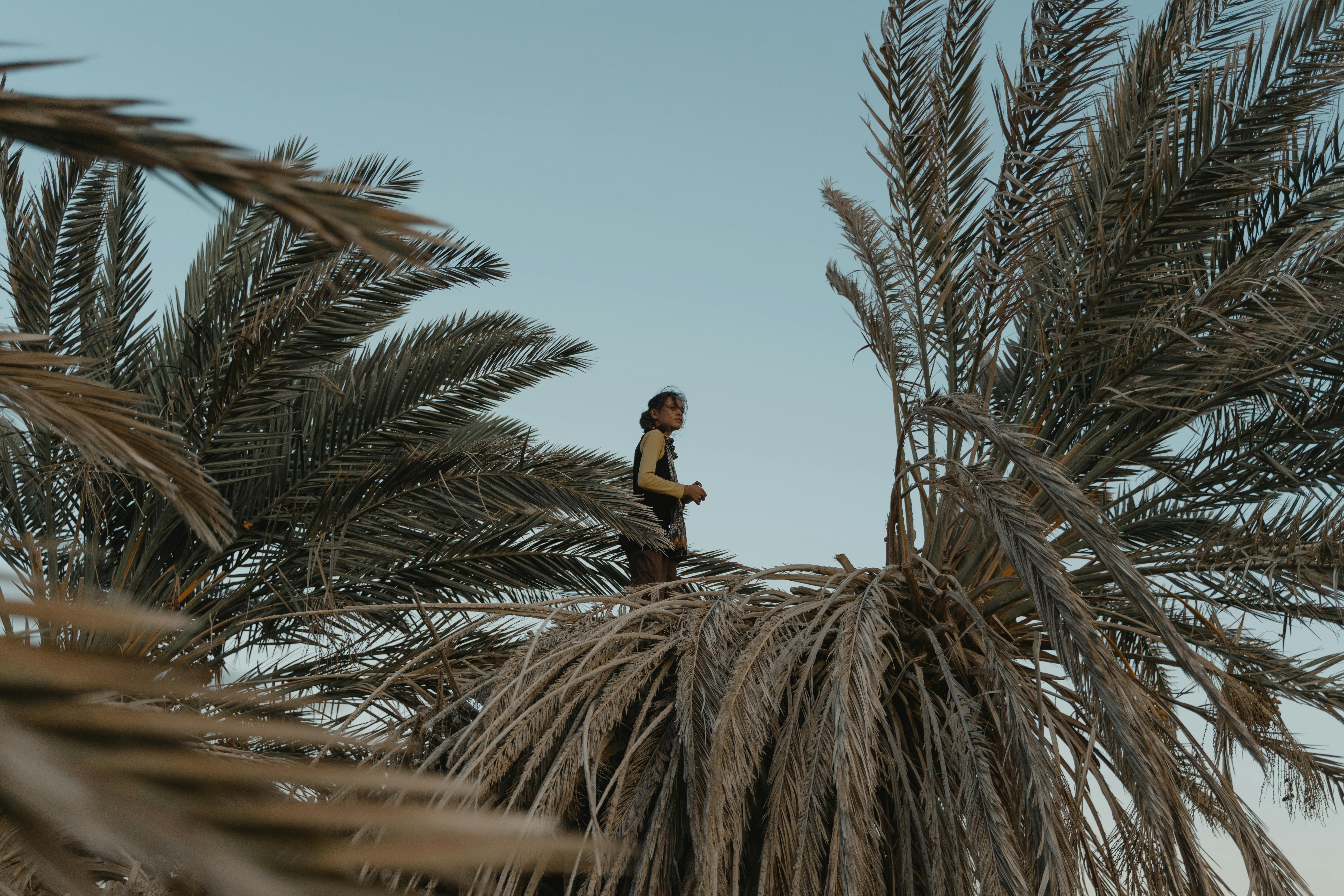 1,000+ Best Adobe Photos · 100% Free Download · Pexels Stock Photos