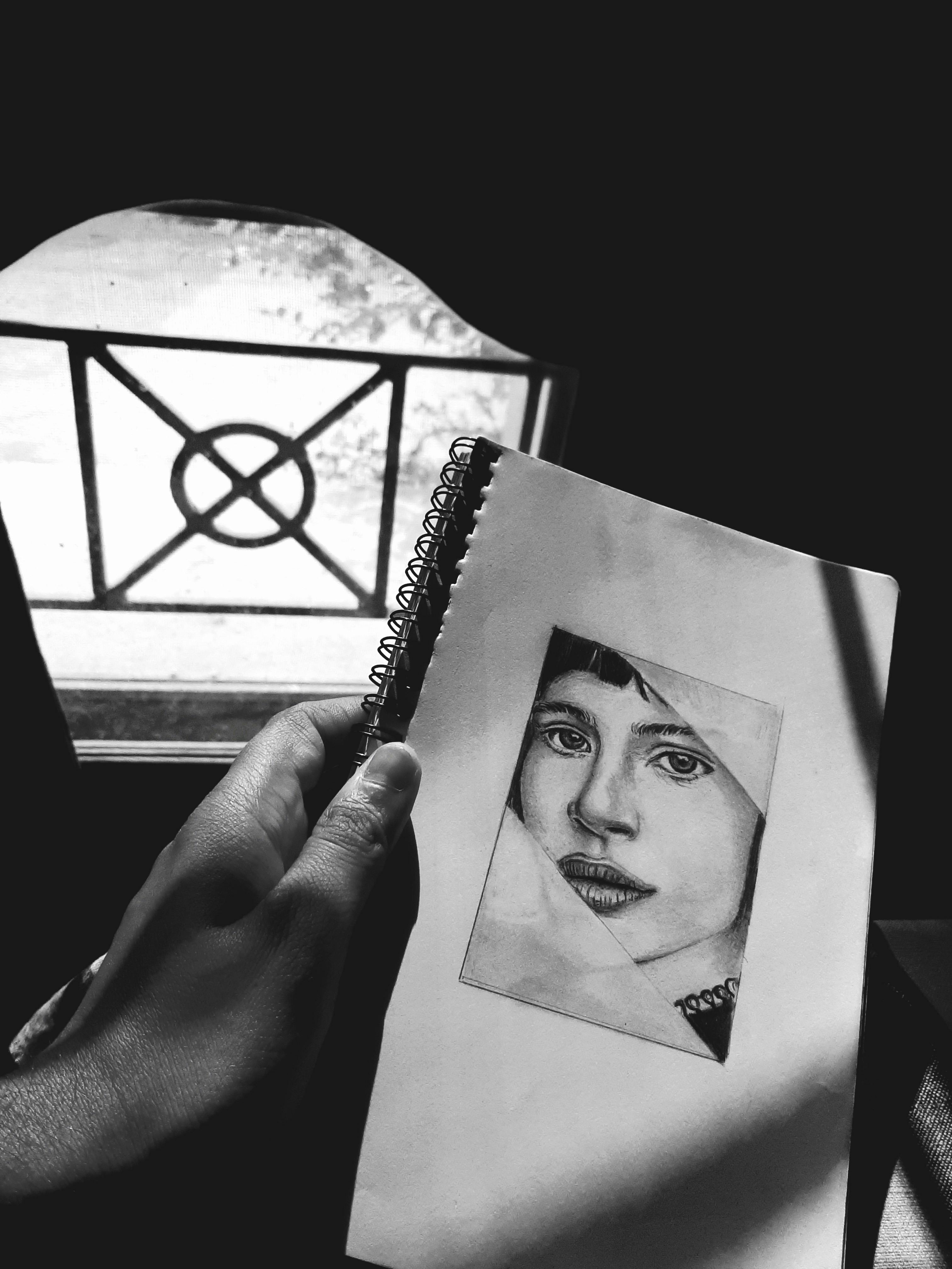 Floral Graphite Sketch · Free Stock Photo