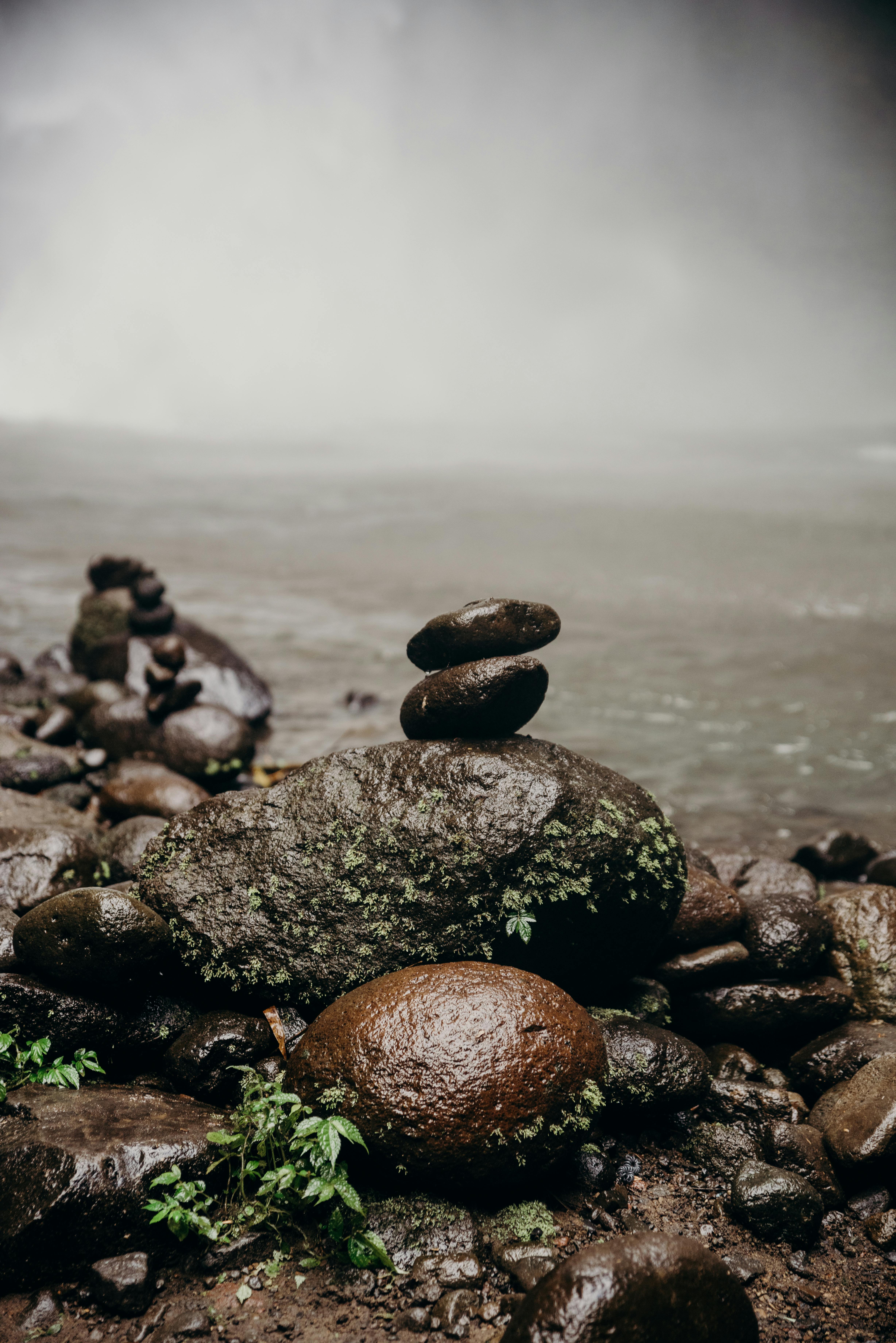 Pile of Wet Stone by Ocean · Free Stock Photo