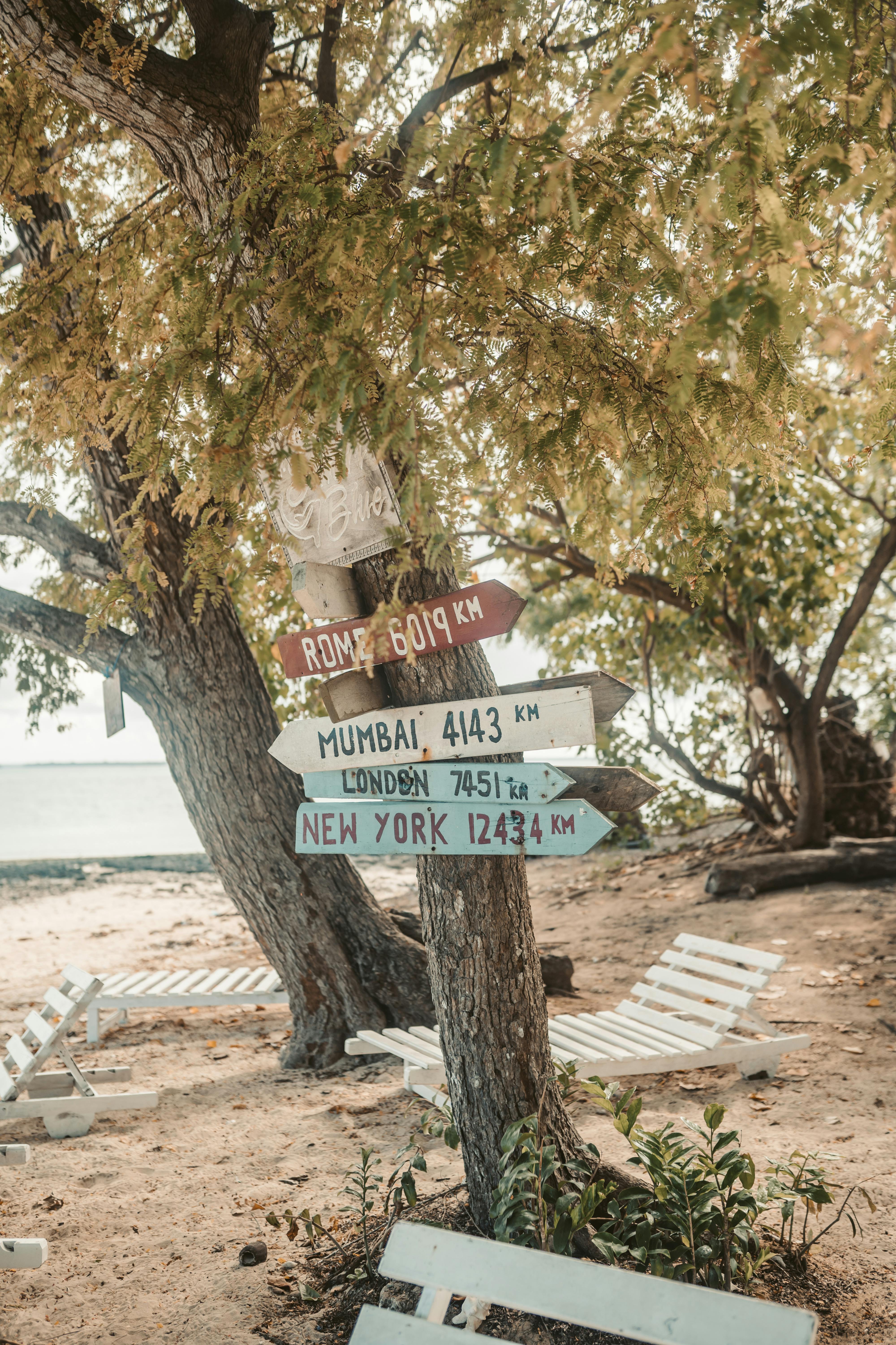 Brown Wooden Signage Near Green Tree · Free Stock Photo