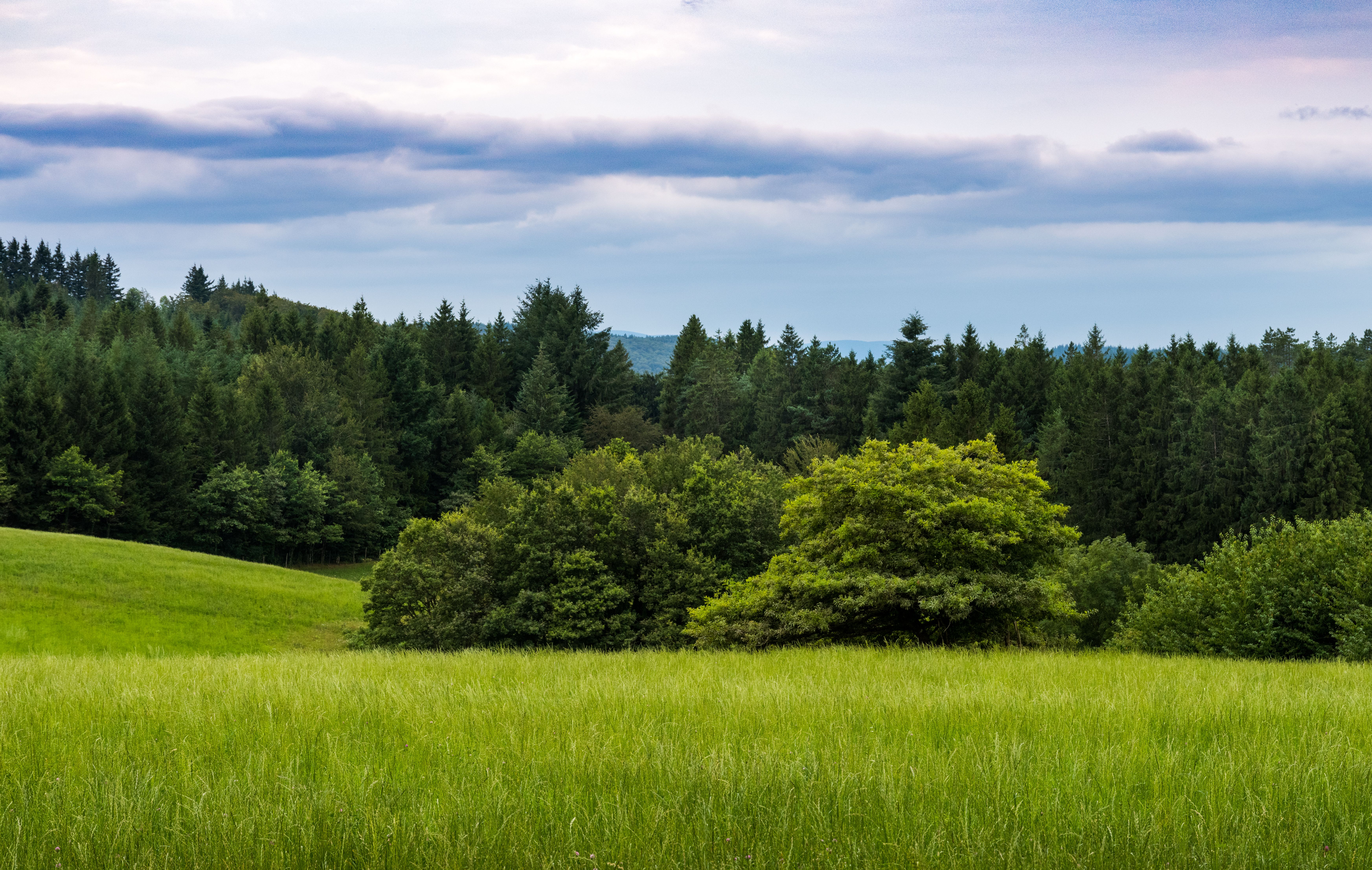 free-stock-photo-of-french-countryside