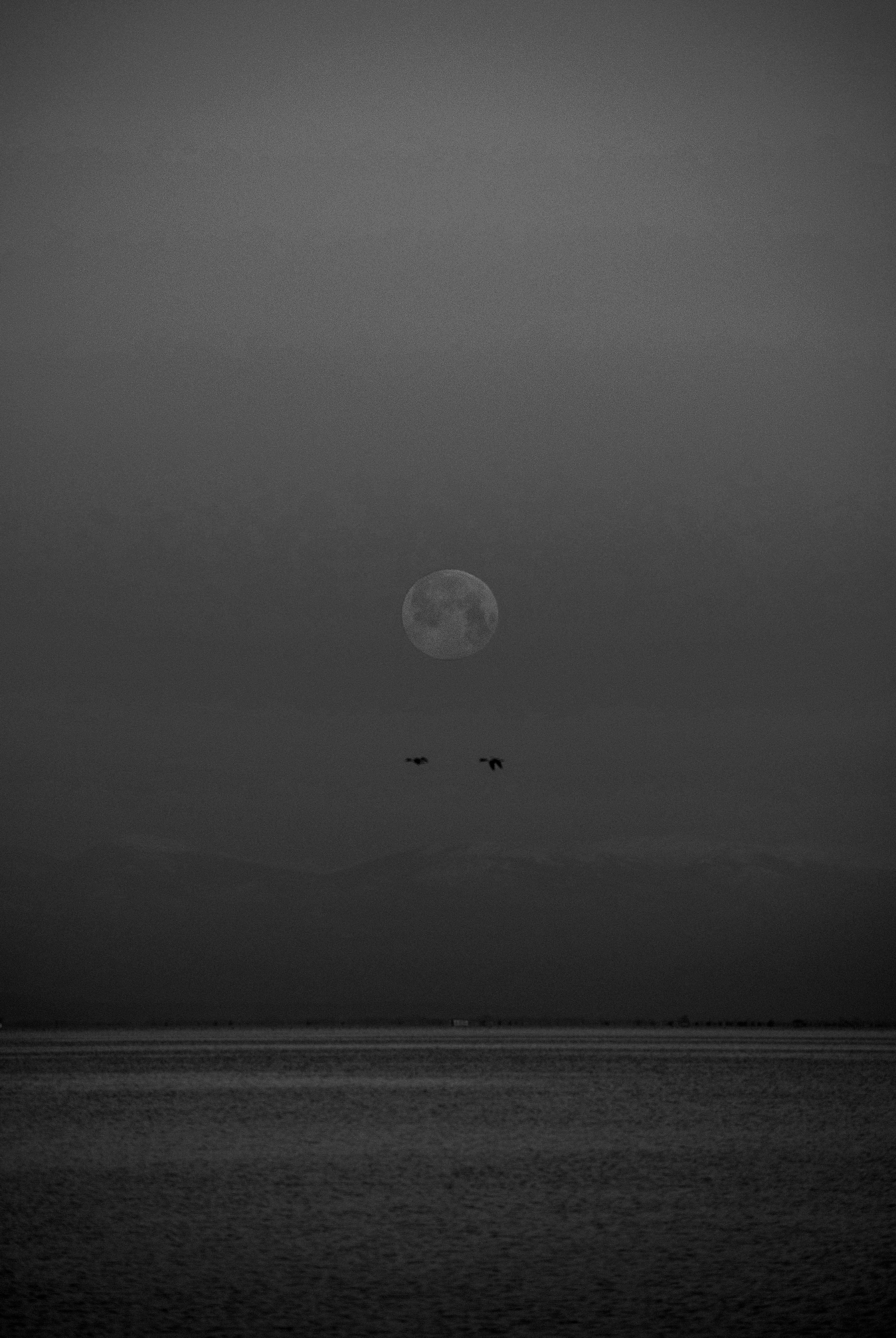Grayscale Photography of Full Moon Over the Sea · Free Stock Photo