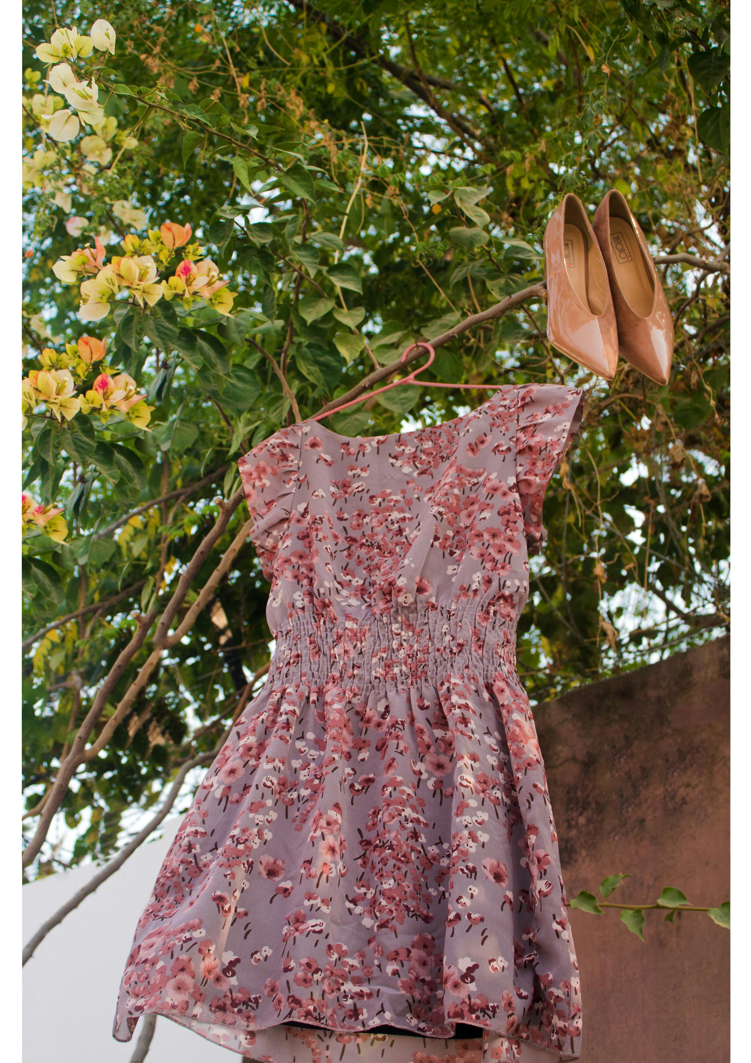 Pair of Shoes Hanging on Tree Branch · Free Stock Photo