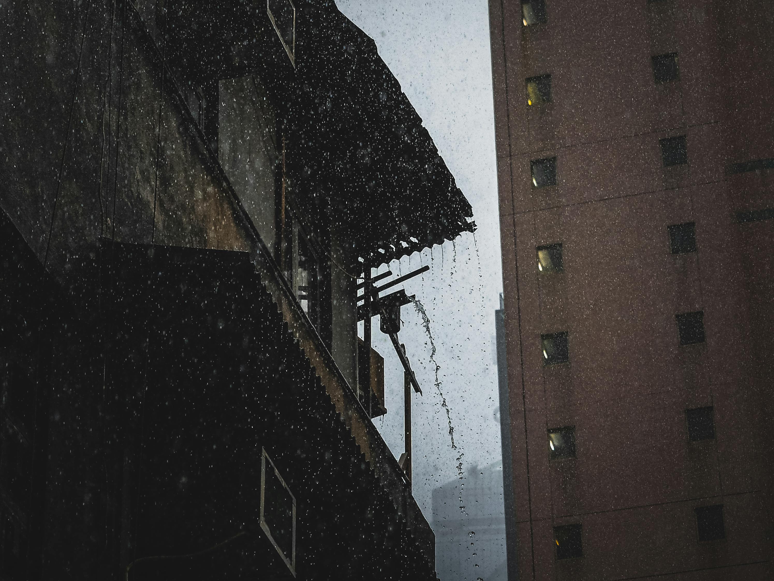 Lots Of People Photos, Download The BEST Free Lots Of People Stock ...