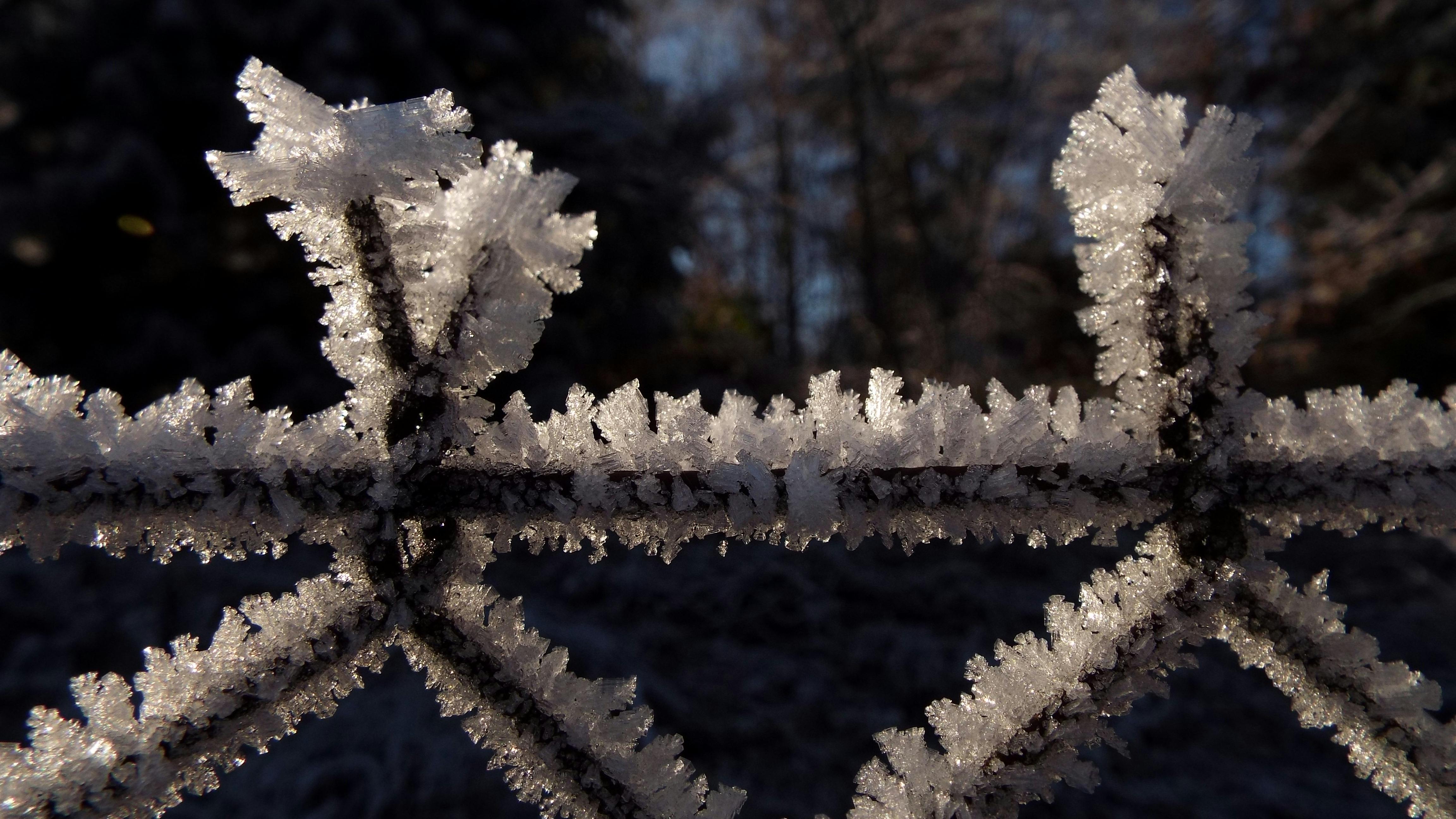 Jan Sperling - Fotografía
