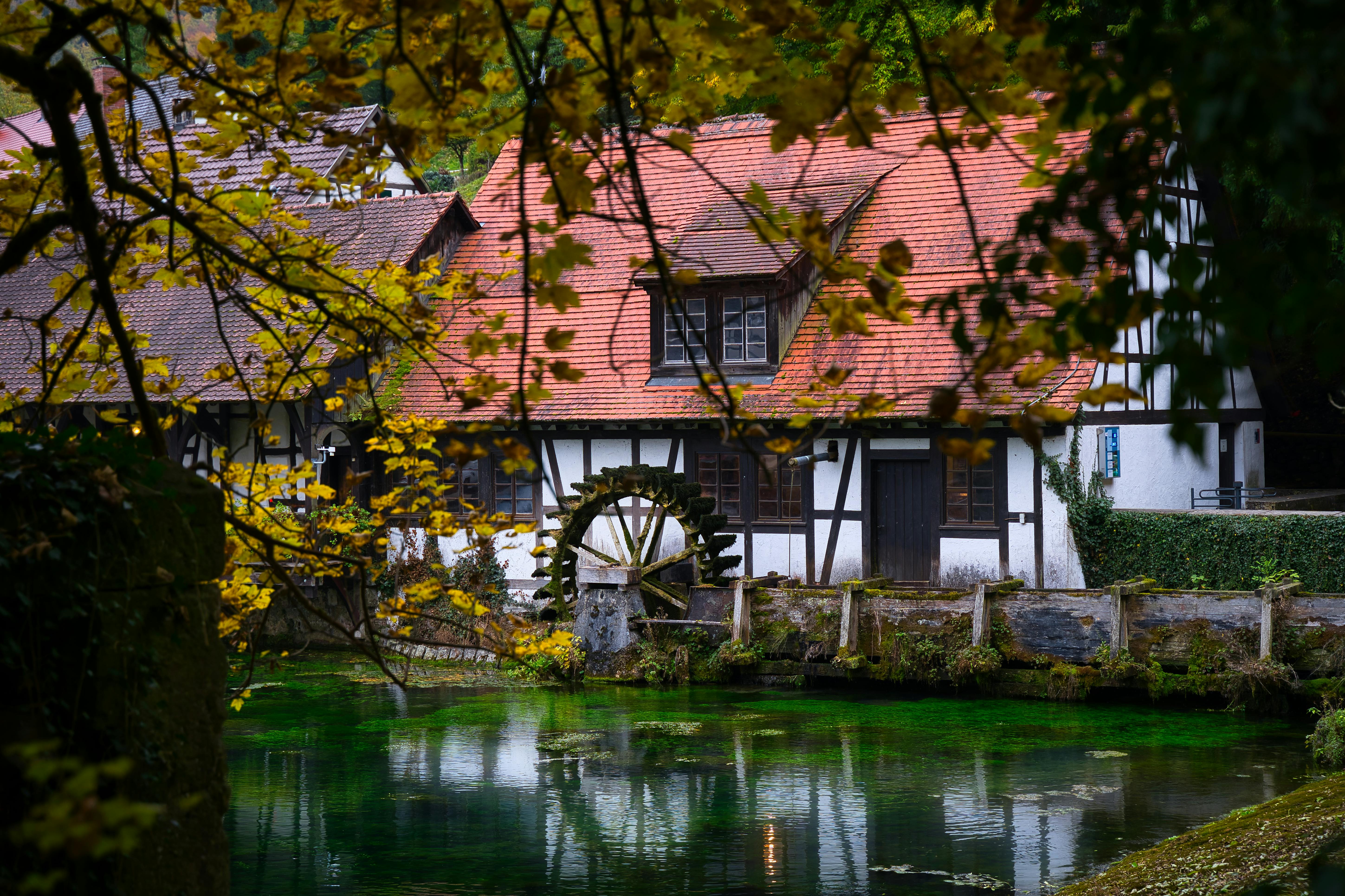Mossy Watermill outside a Building · Free Stock Photo