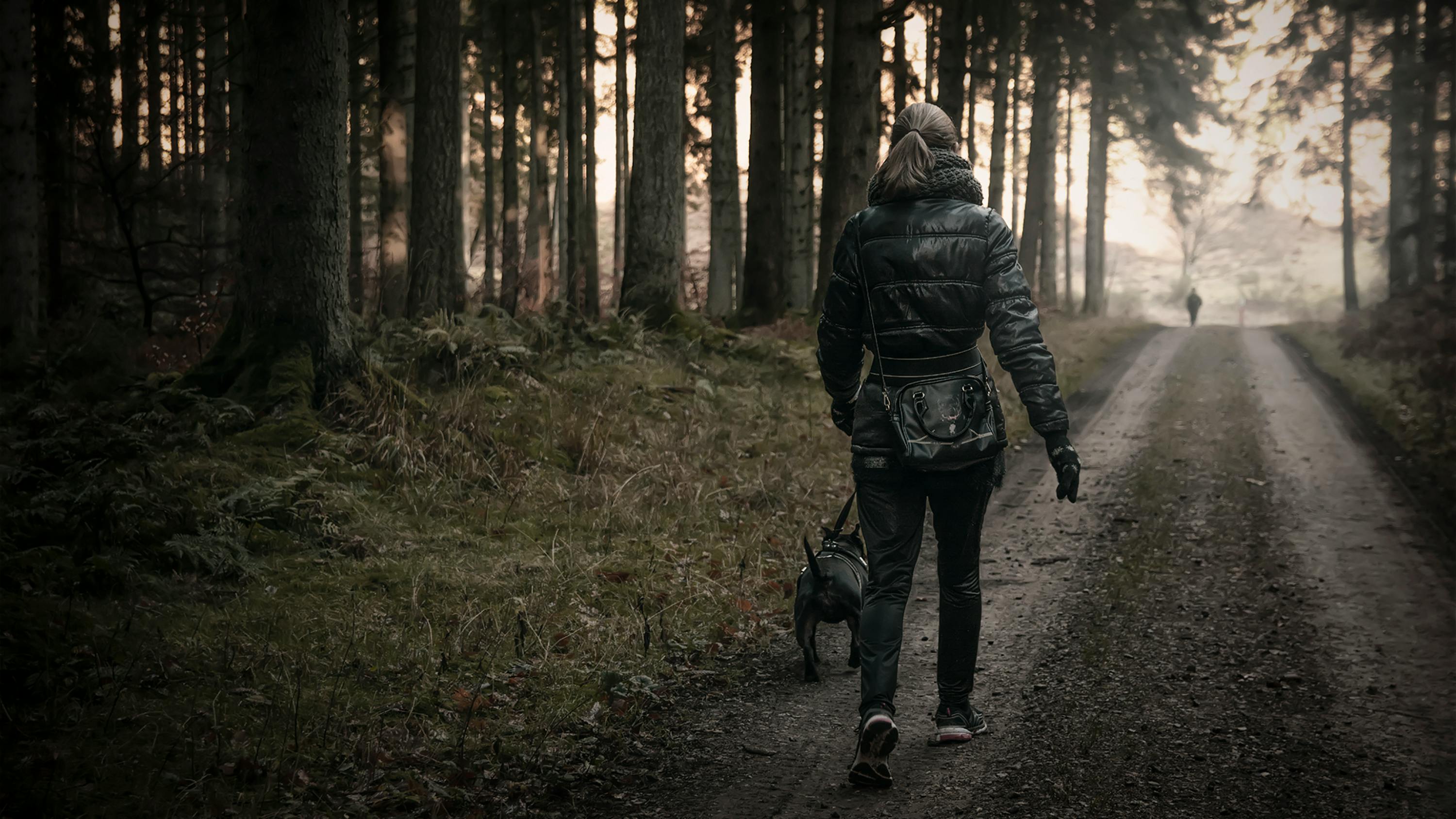 Animation Back Photos, Download The BEST Free Animation Back Stock ...