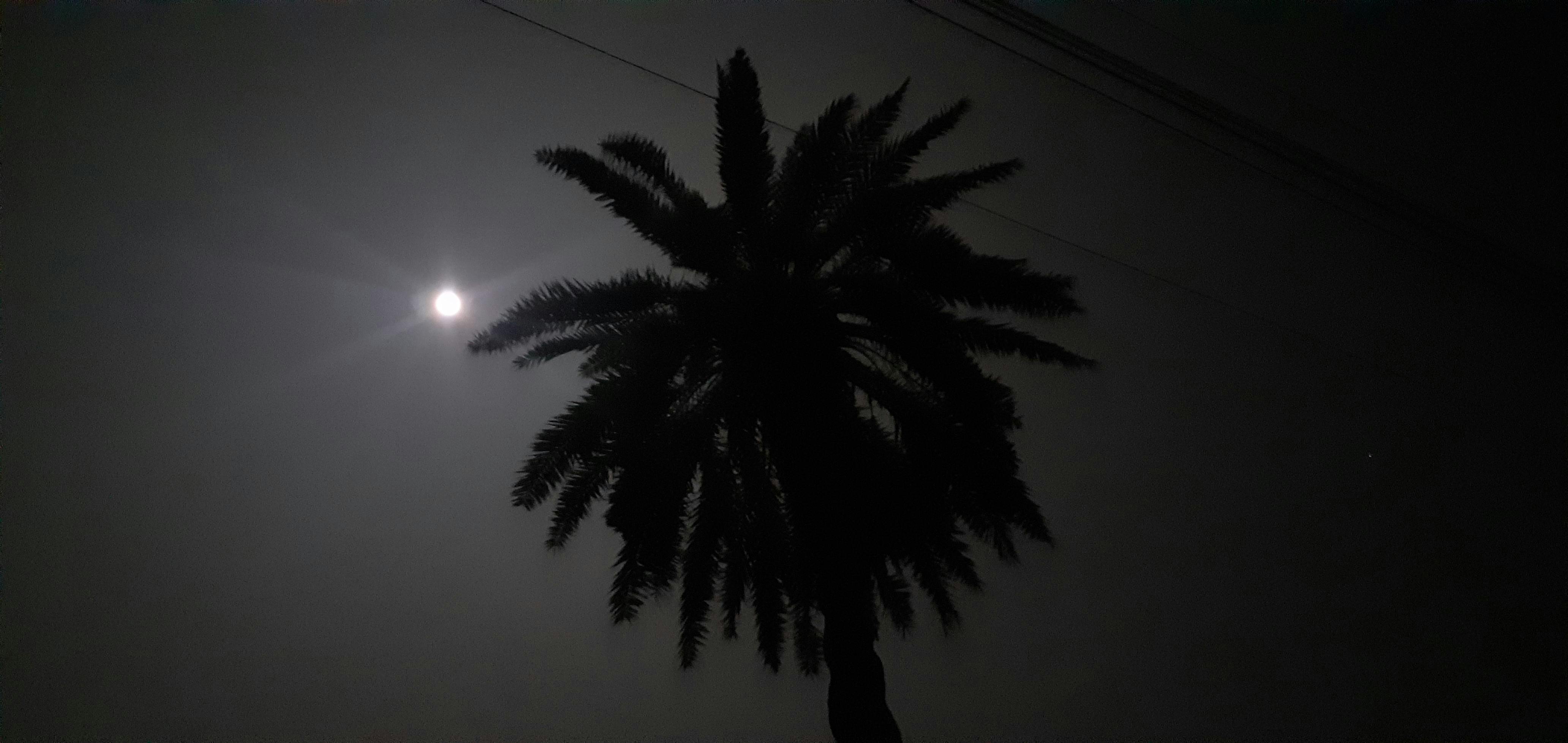 Rabbi Islam - Photography