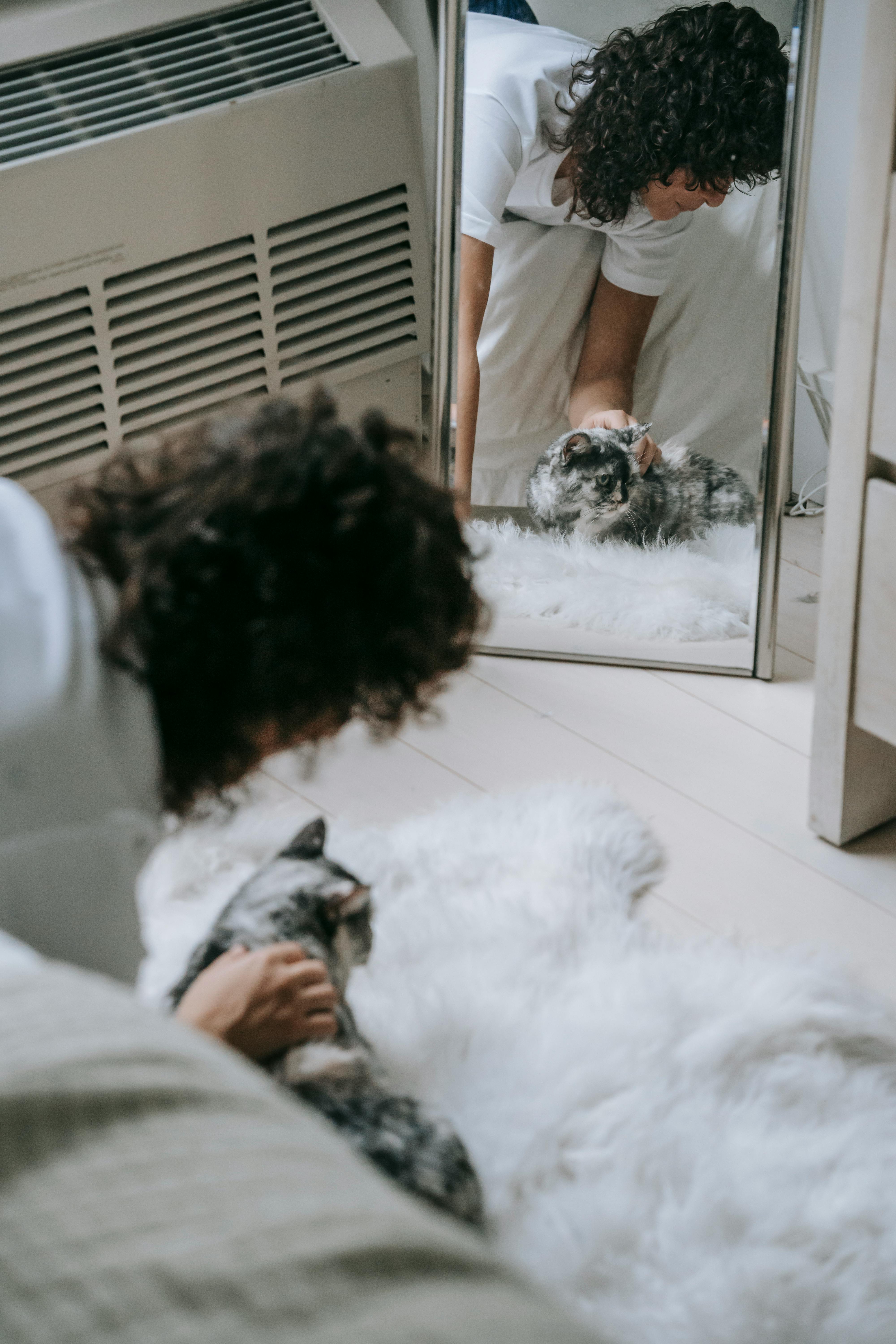 Animal Company Photos, Download The BEST Free Animal Company Stock ...