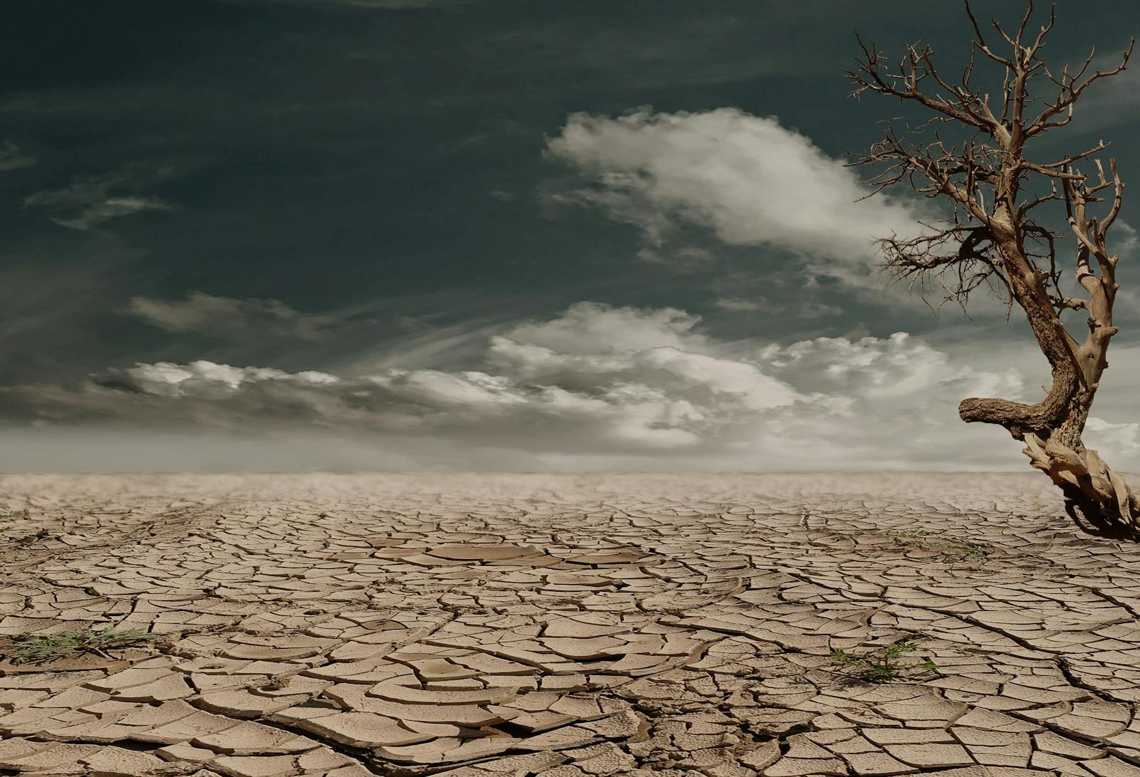 Drought Photos, Download The BEST Free Drought Stock Photos & HD Images