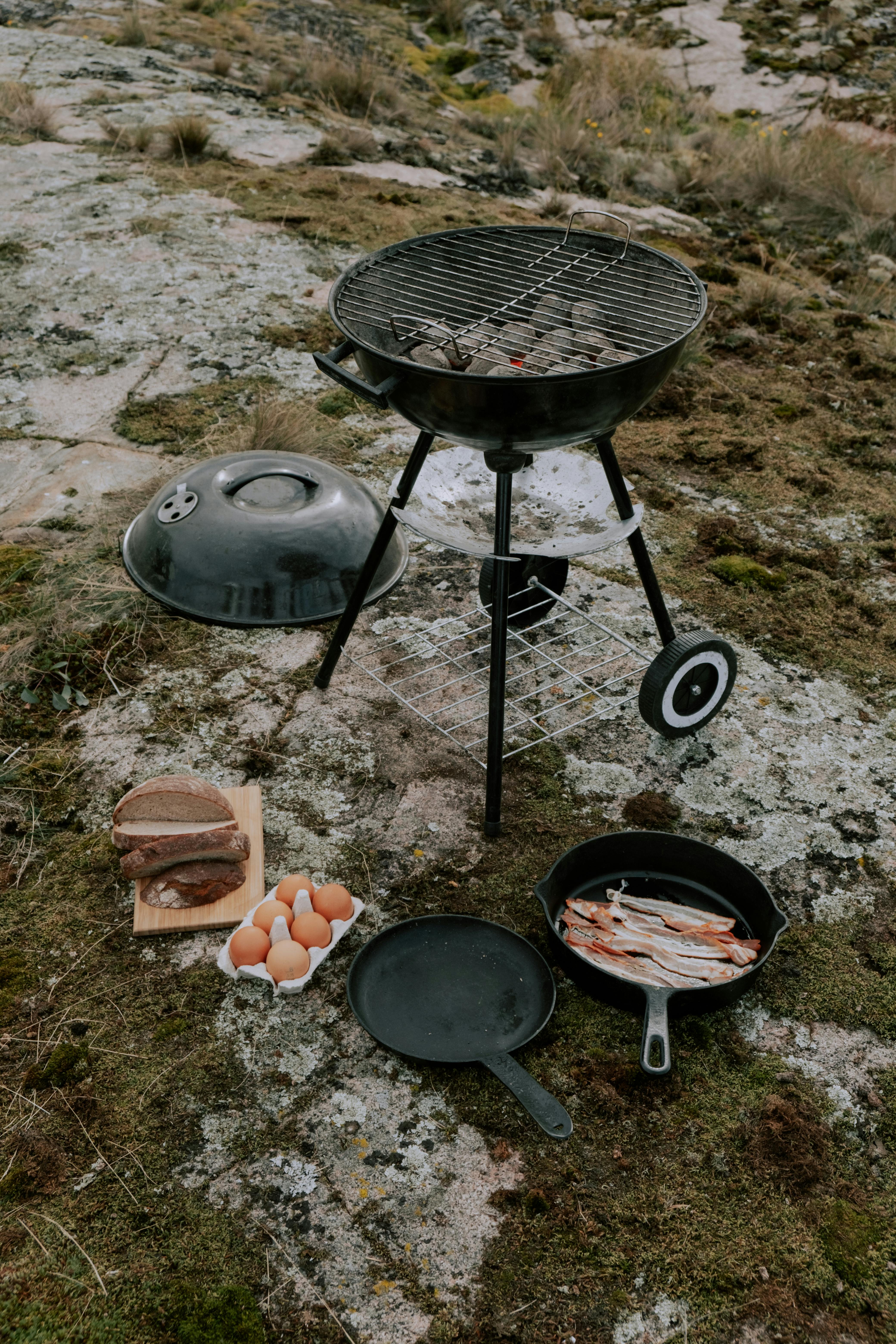 Foto stok gratis tentang alam, alam liar, alat barbecue, api terbuka ...