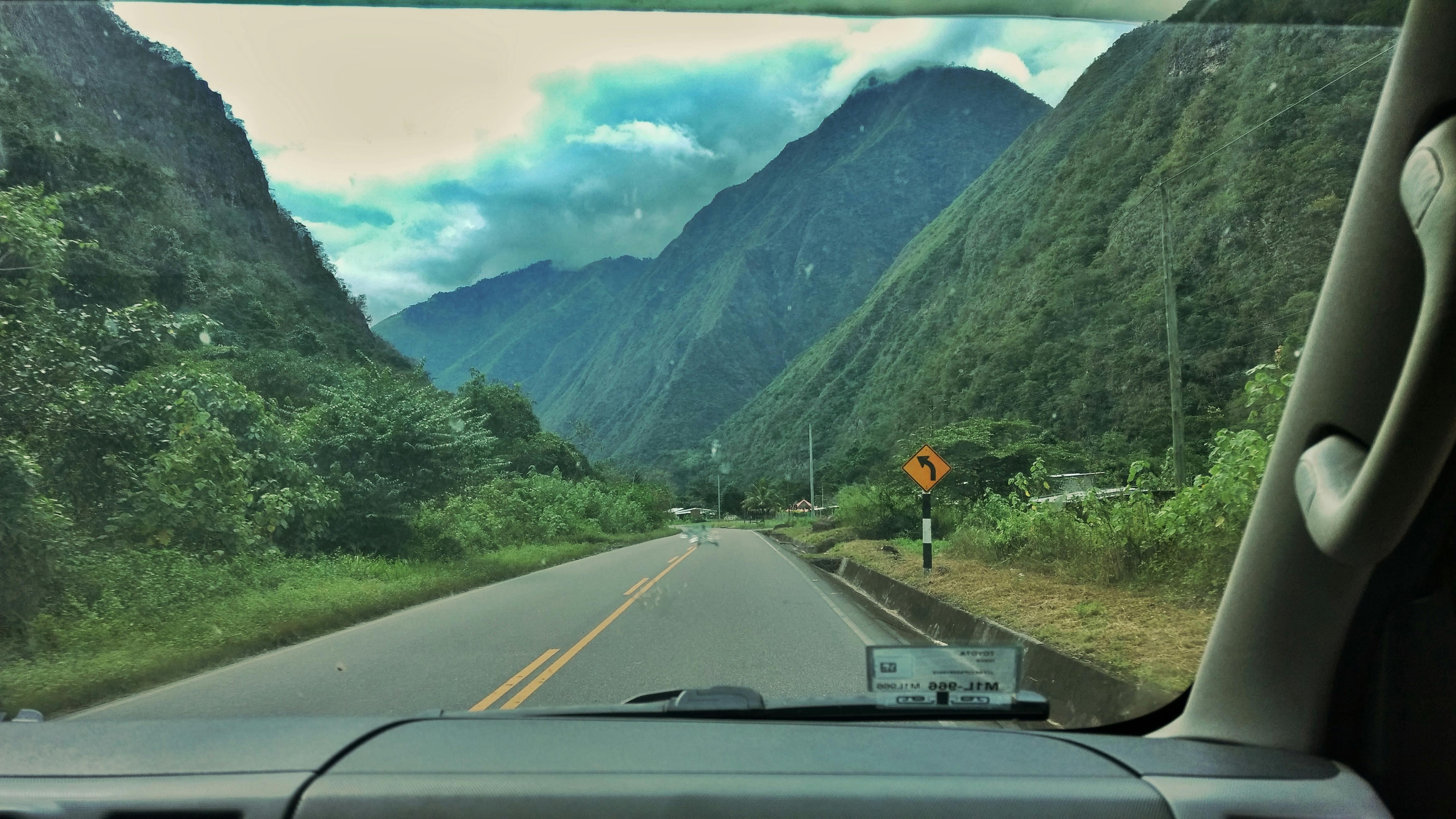 Free stock photo of forest, highway