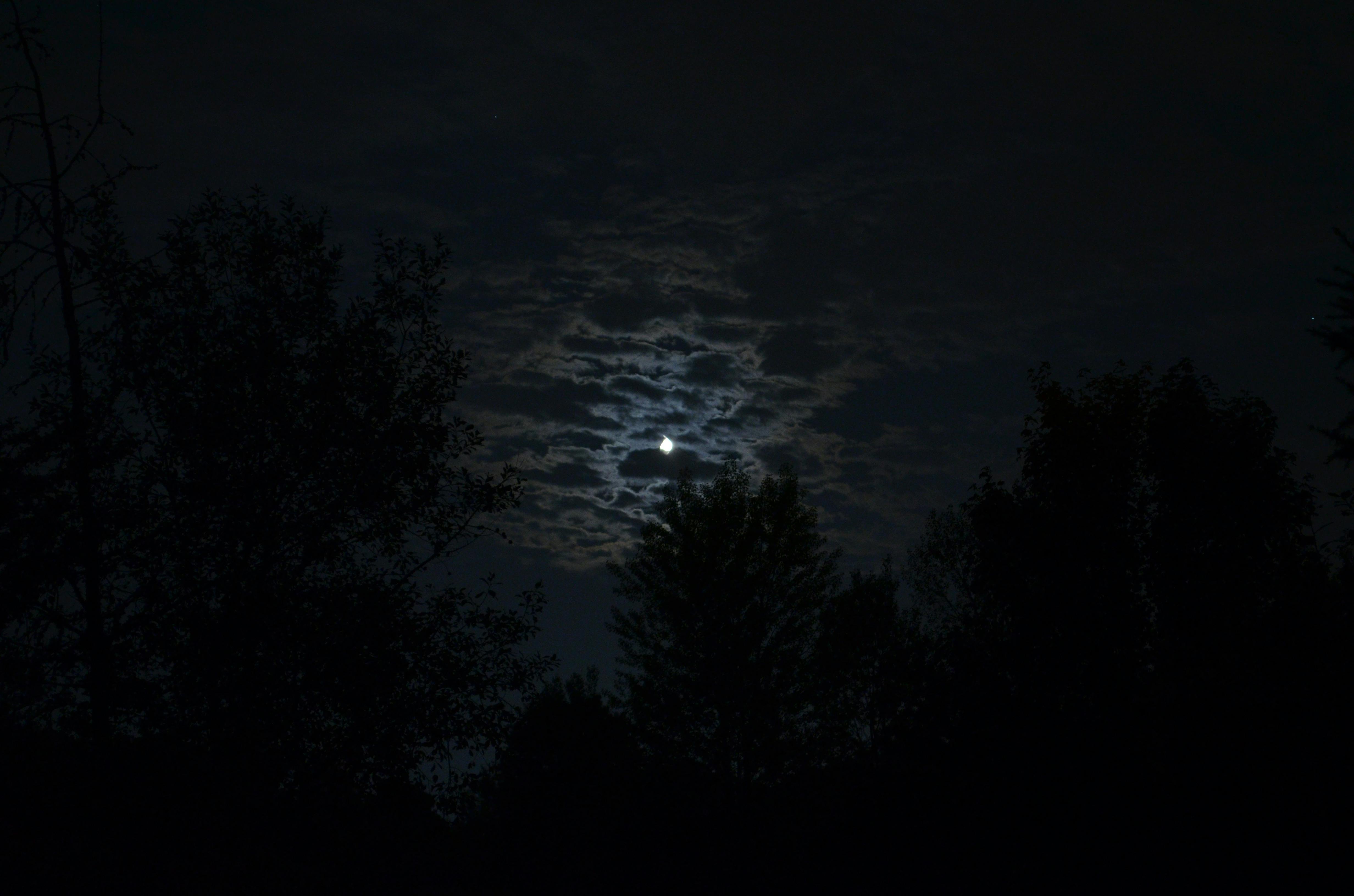 Free stock photo of moon