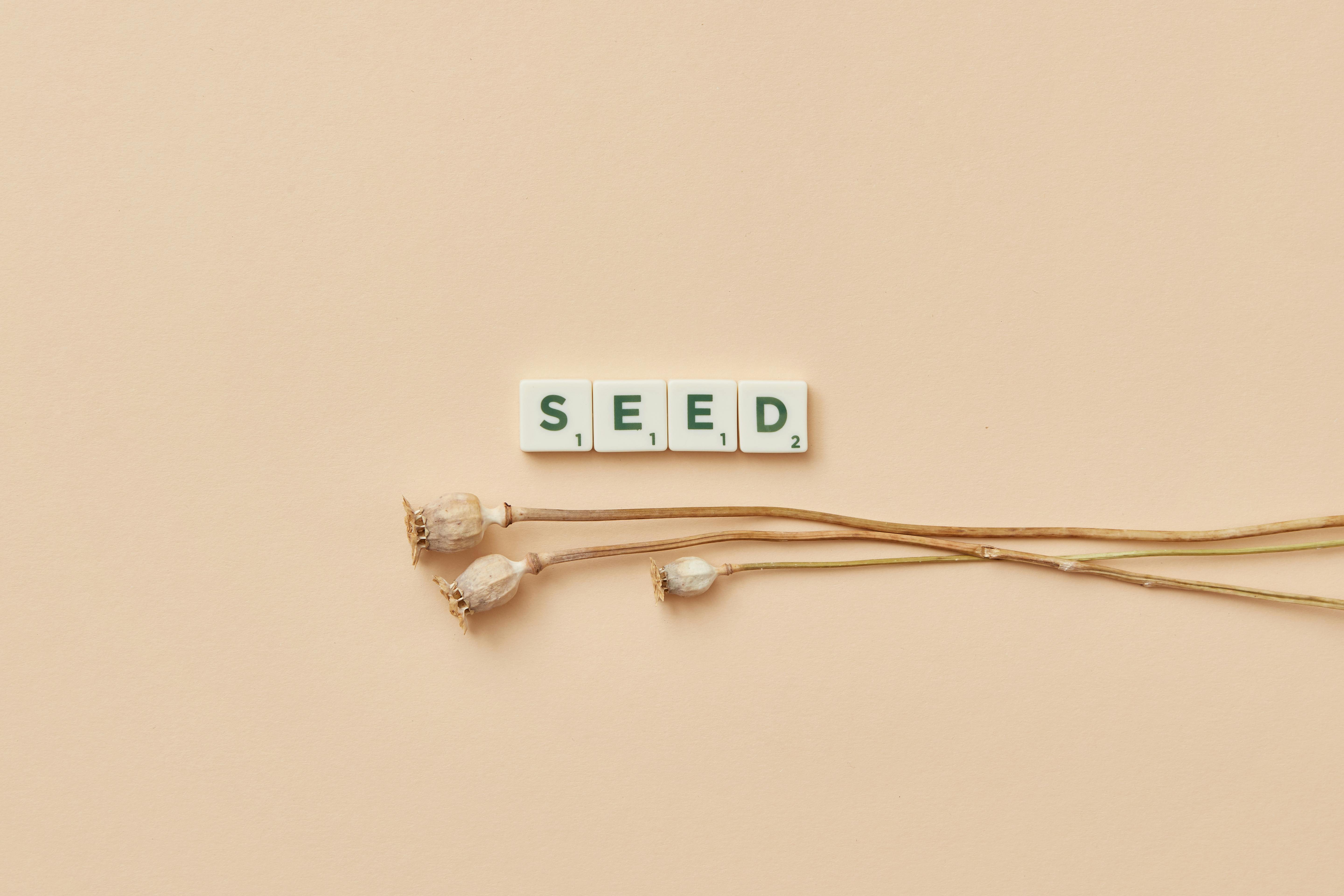 Scrabble Tiles and Stems on a Yellow Background · Free Stock Photo