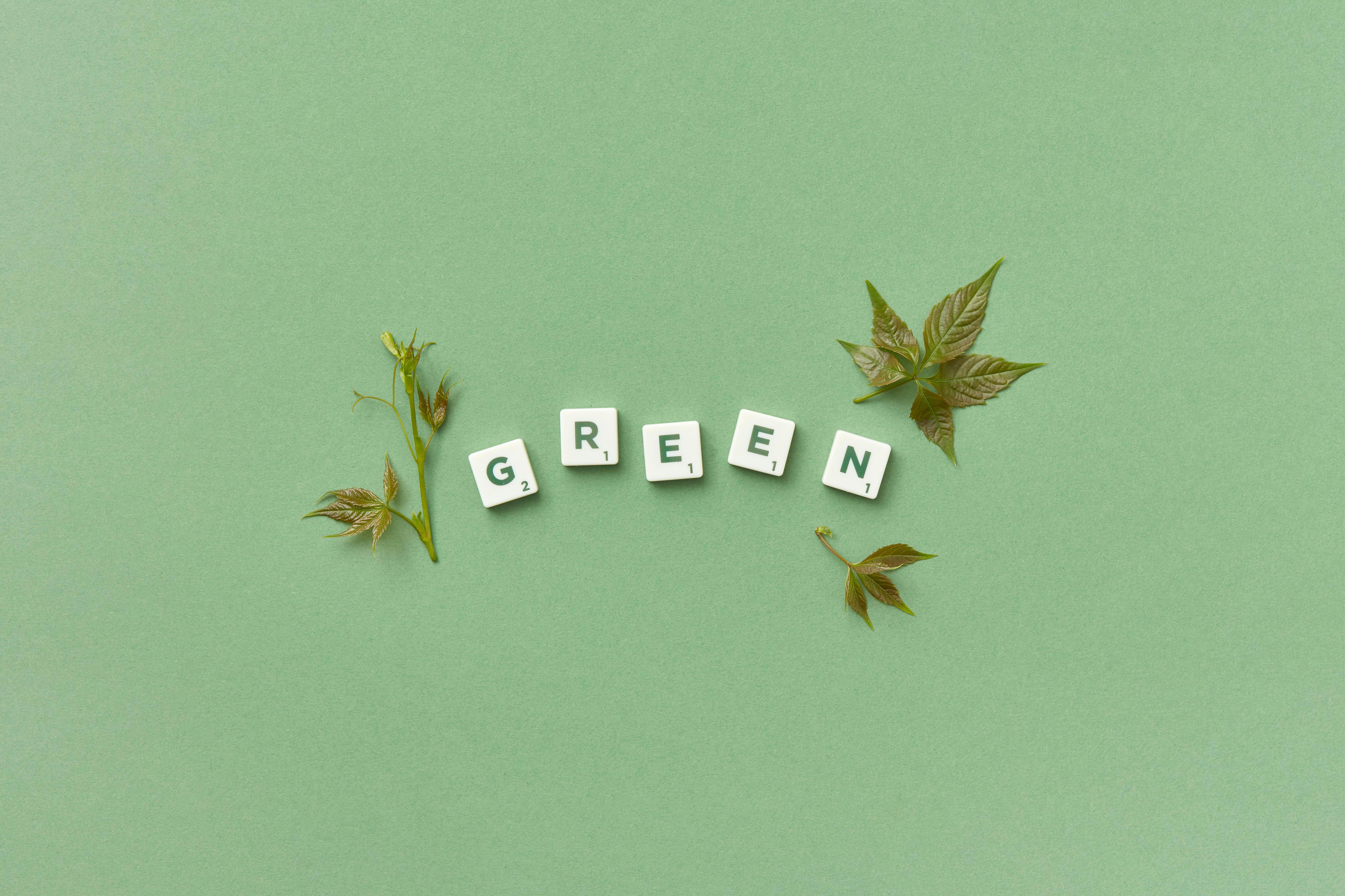Leaves and Scrabble Tiles on a Green Background · Free Stock Photo