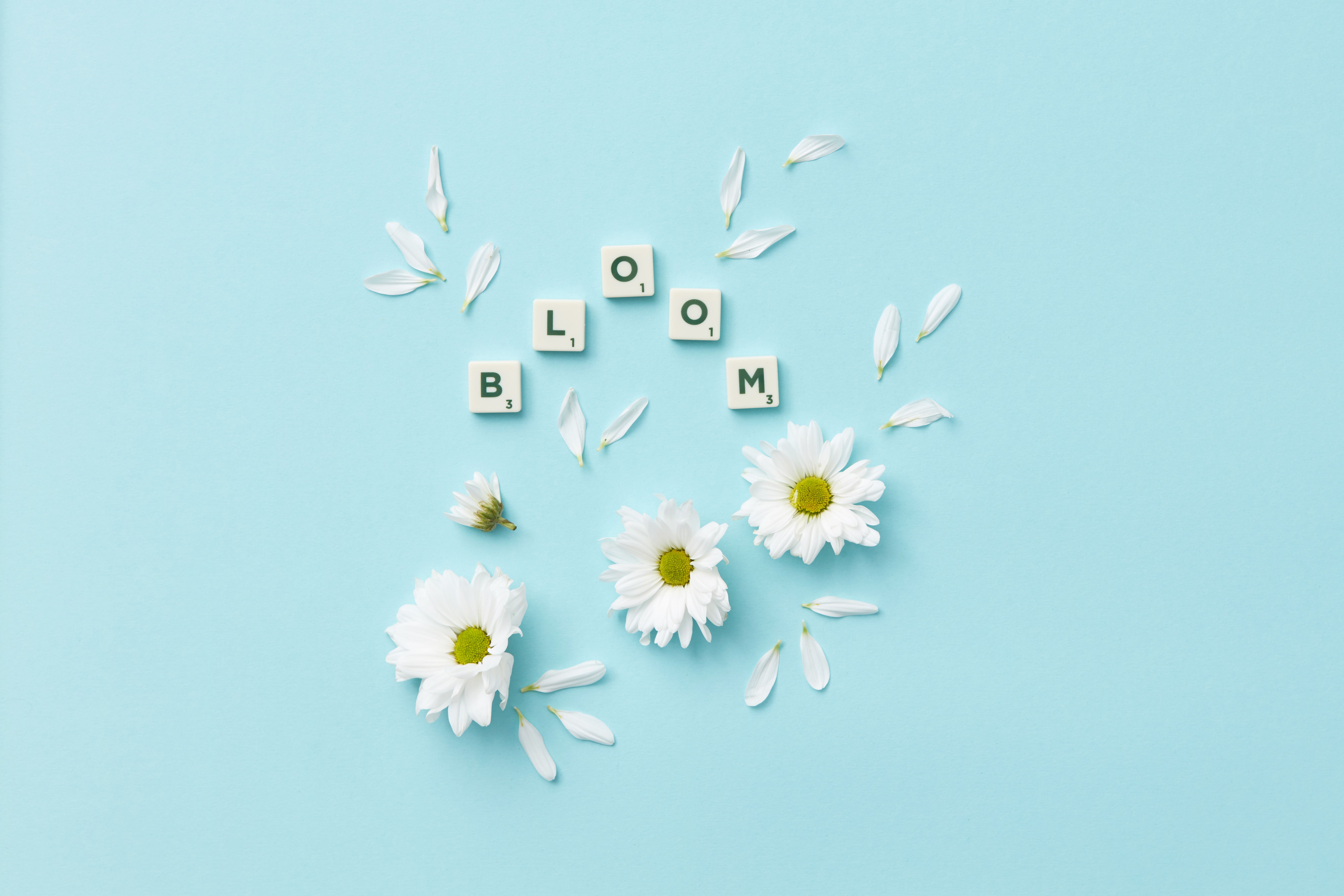 Scrabble Tiles and Flowers on a Blue Background · Free Stock Photo