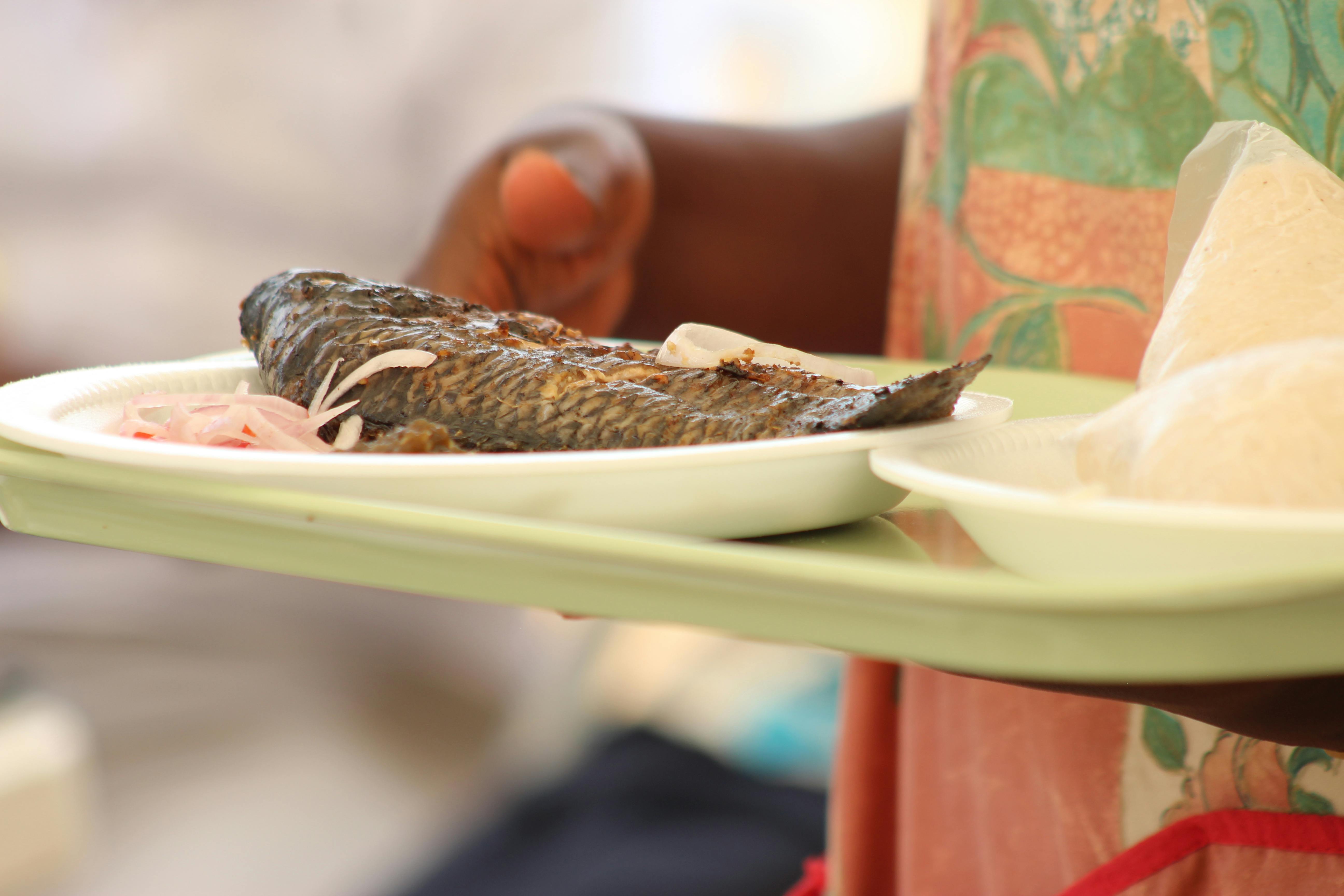 Free stock photo of africa, african food, food