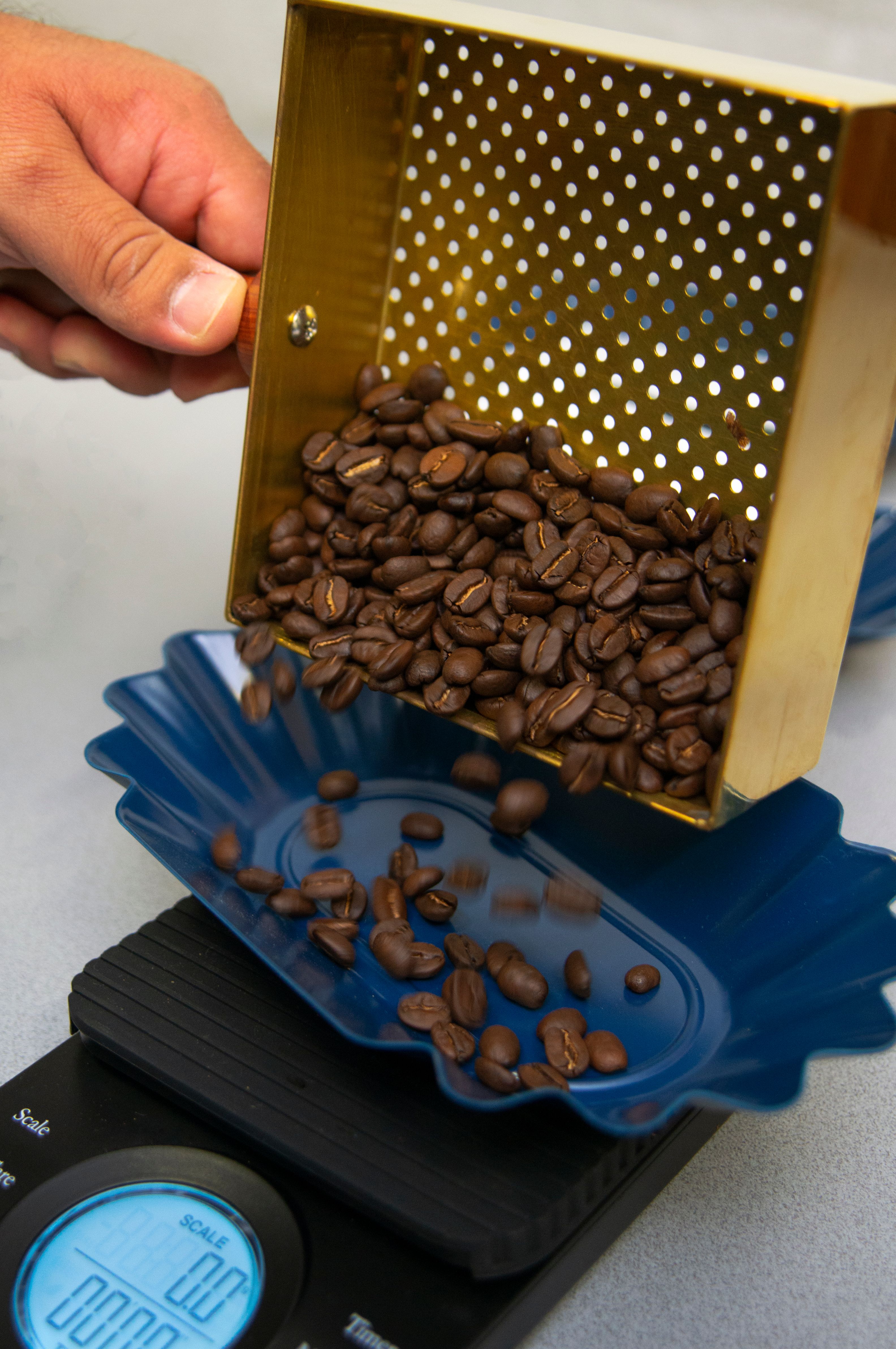 Person Putting Roasted Coffee Beans on a Weighing Scale · Free Stock Photo