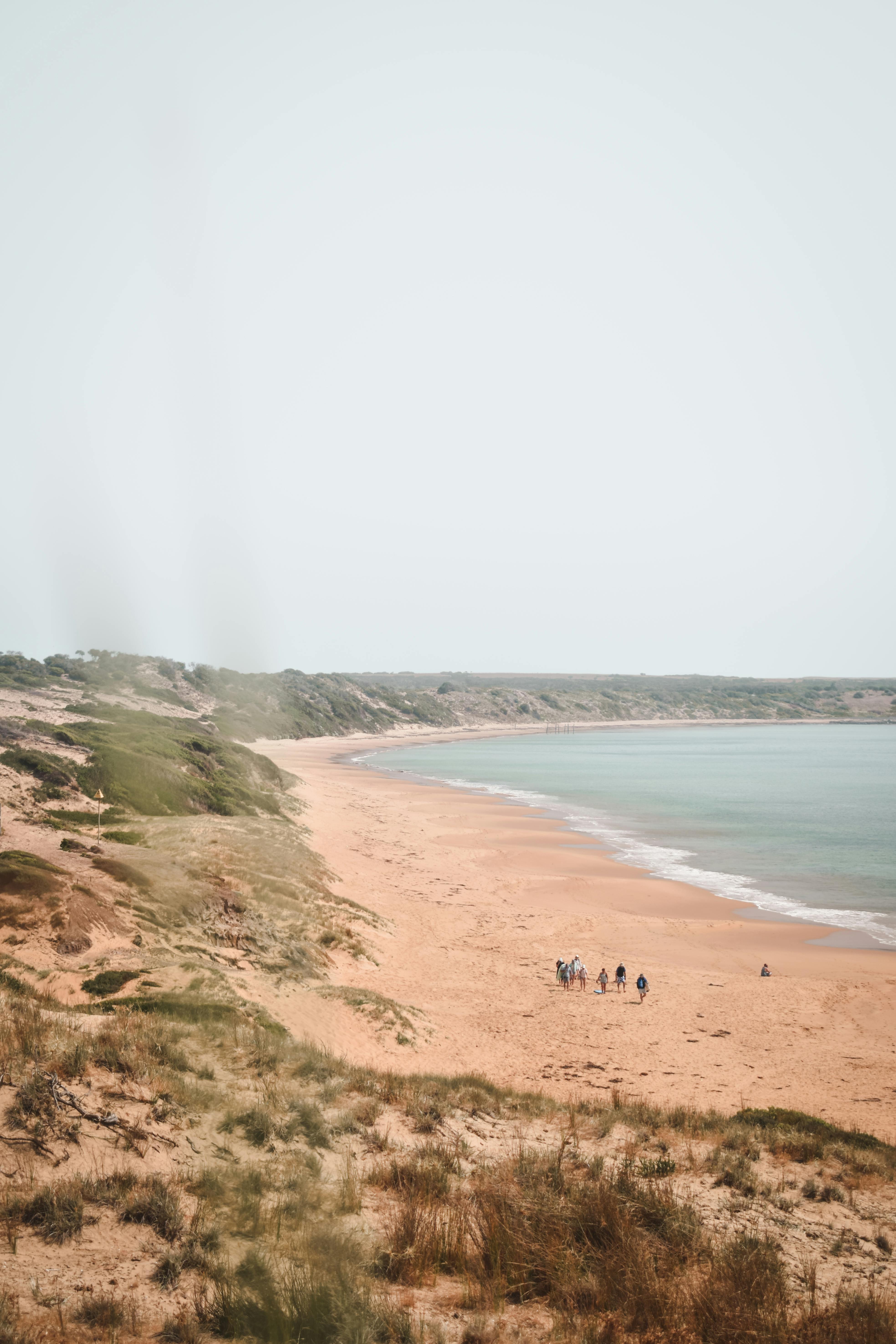 200,000+ Best Beach Landscape Photos · 100% Free Download · Pexels ...