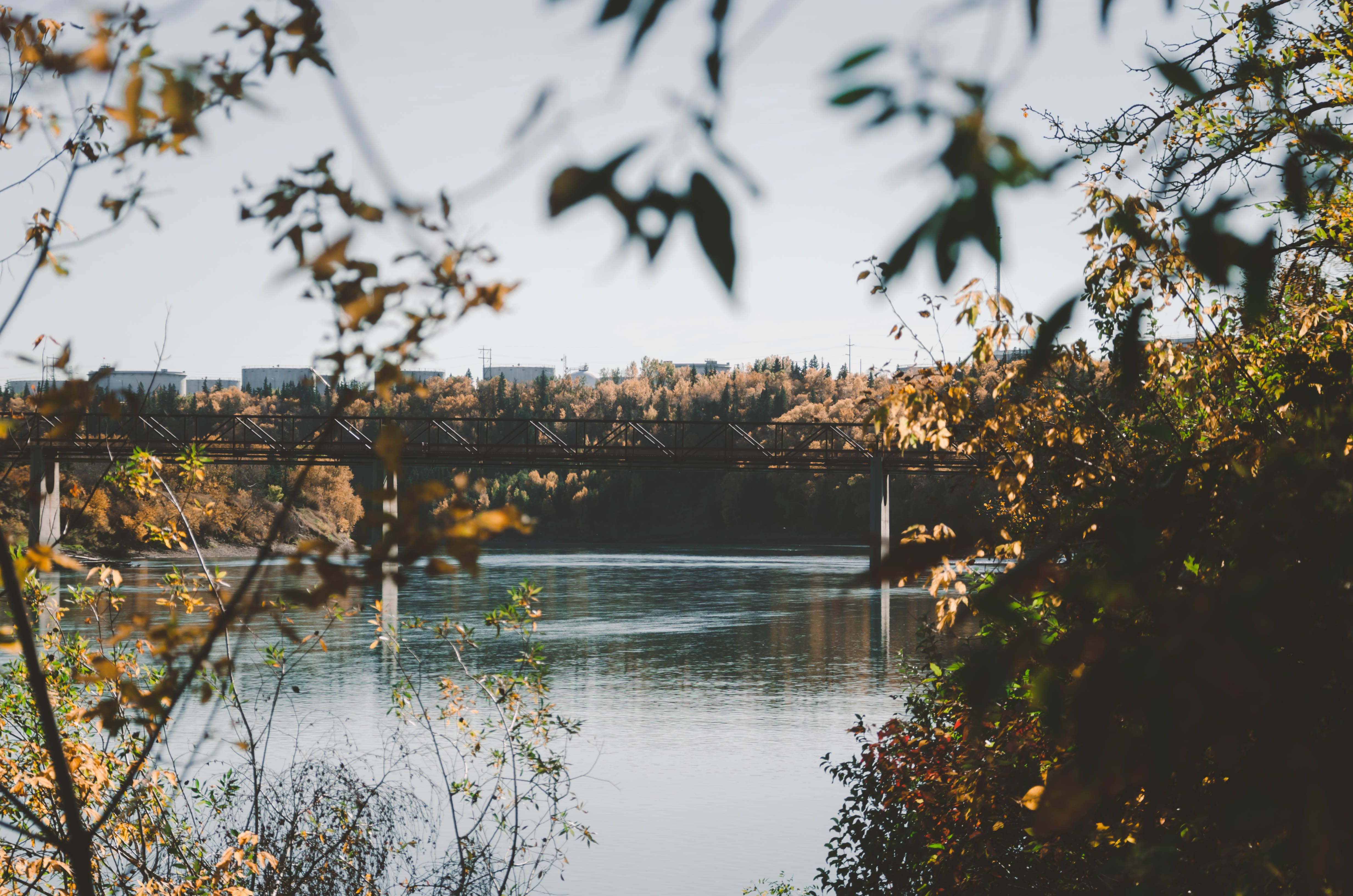Autumn Landscape with Railway Bridge · Free Stock Photo