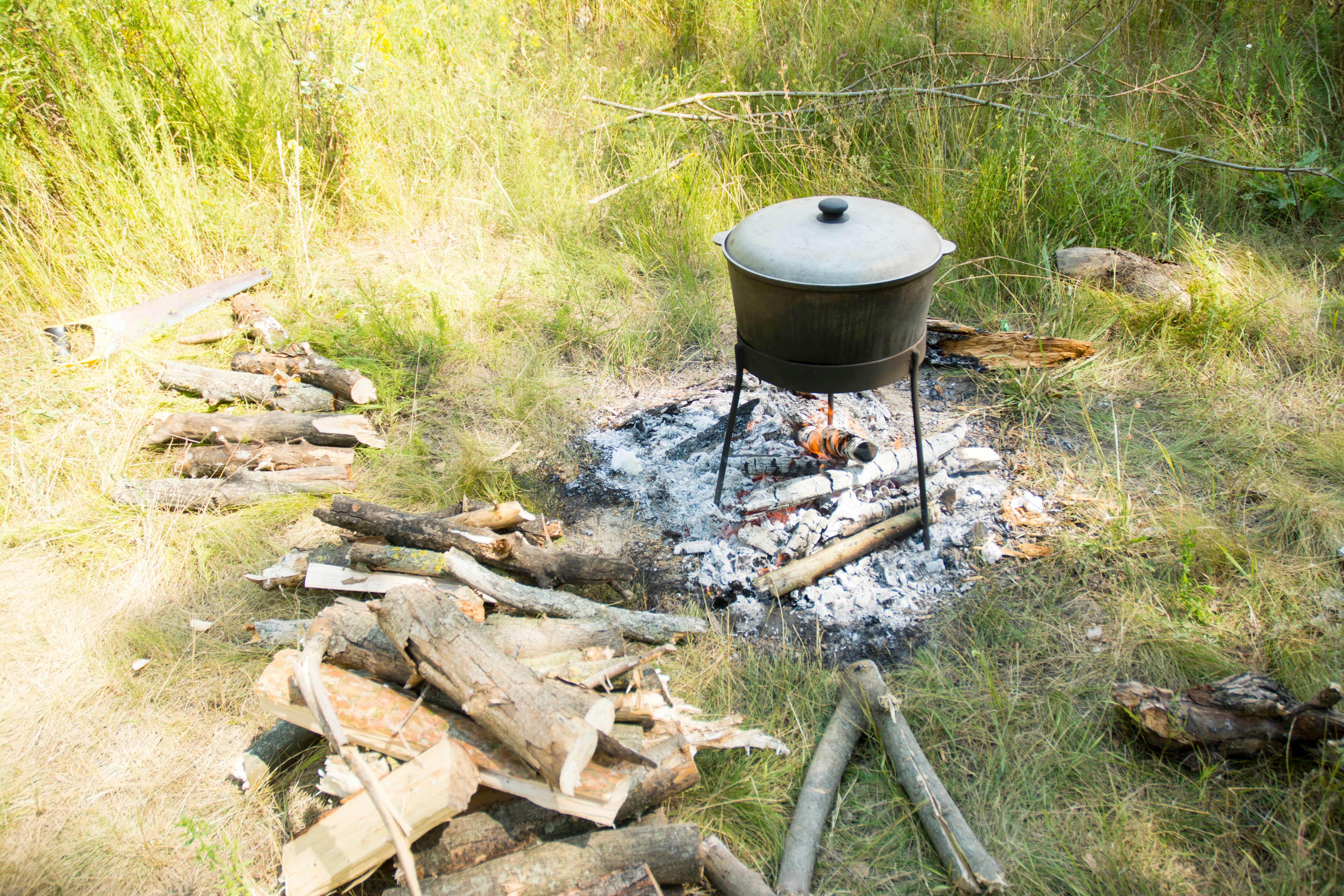 Free stock photo of camp, dip, forest - Stock Image - Everypixel