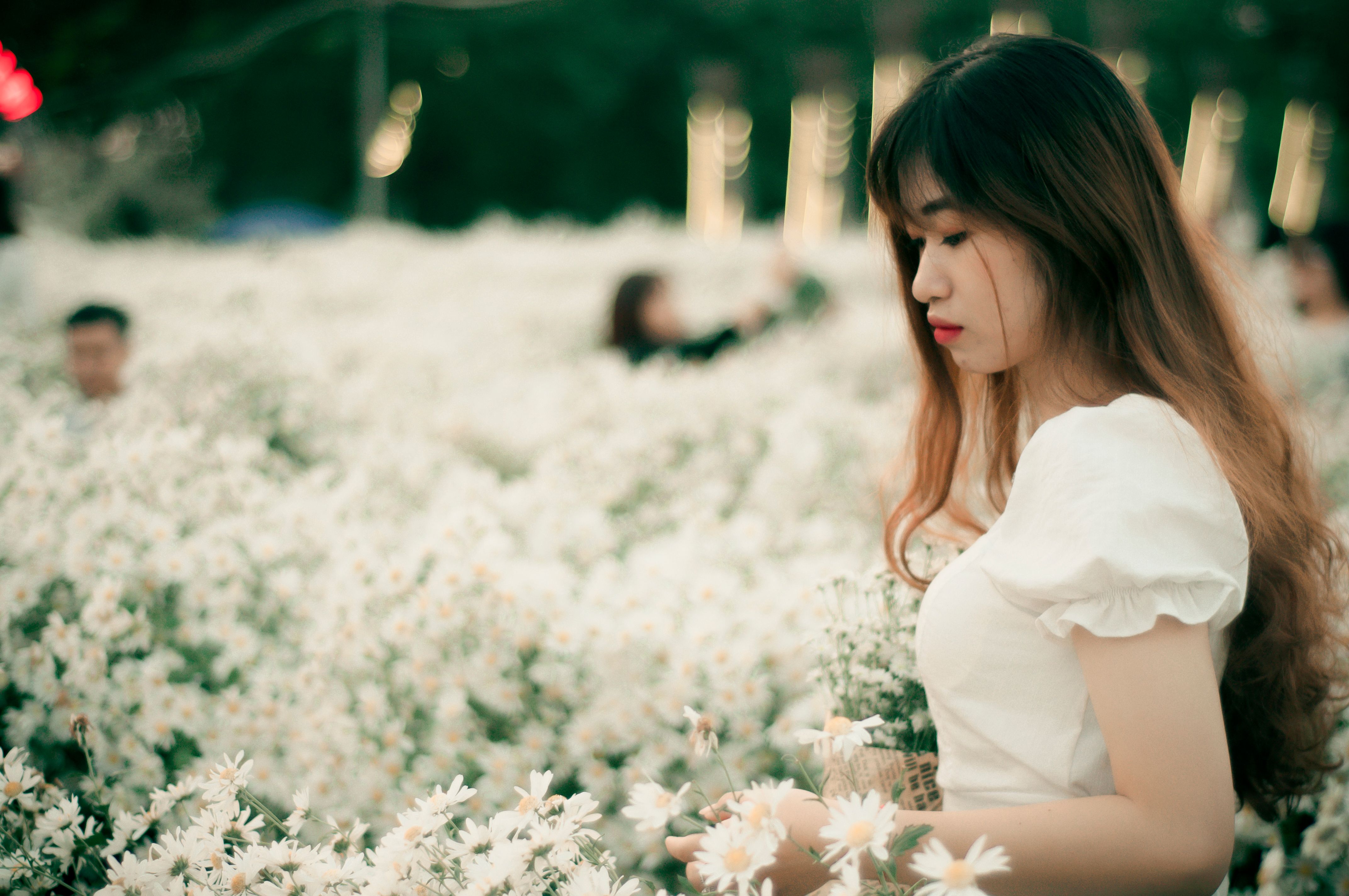 Photo of a Woman Near White Madonna Lily Flowers · Free Stock Photo