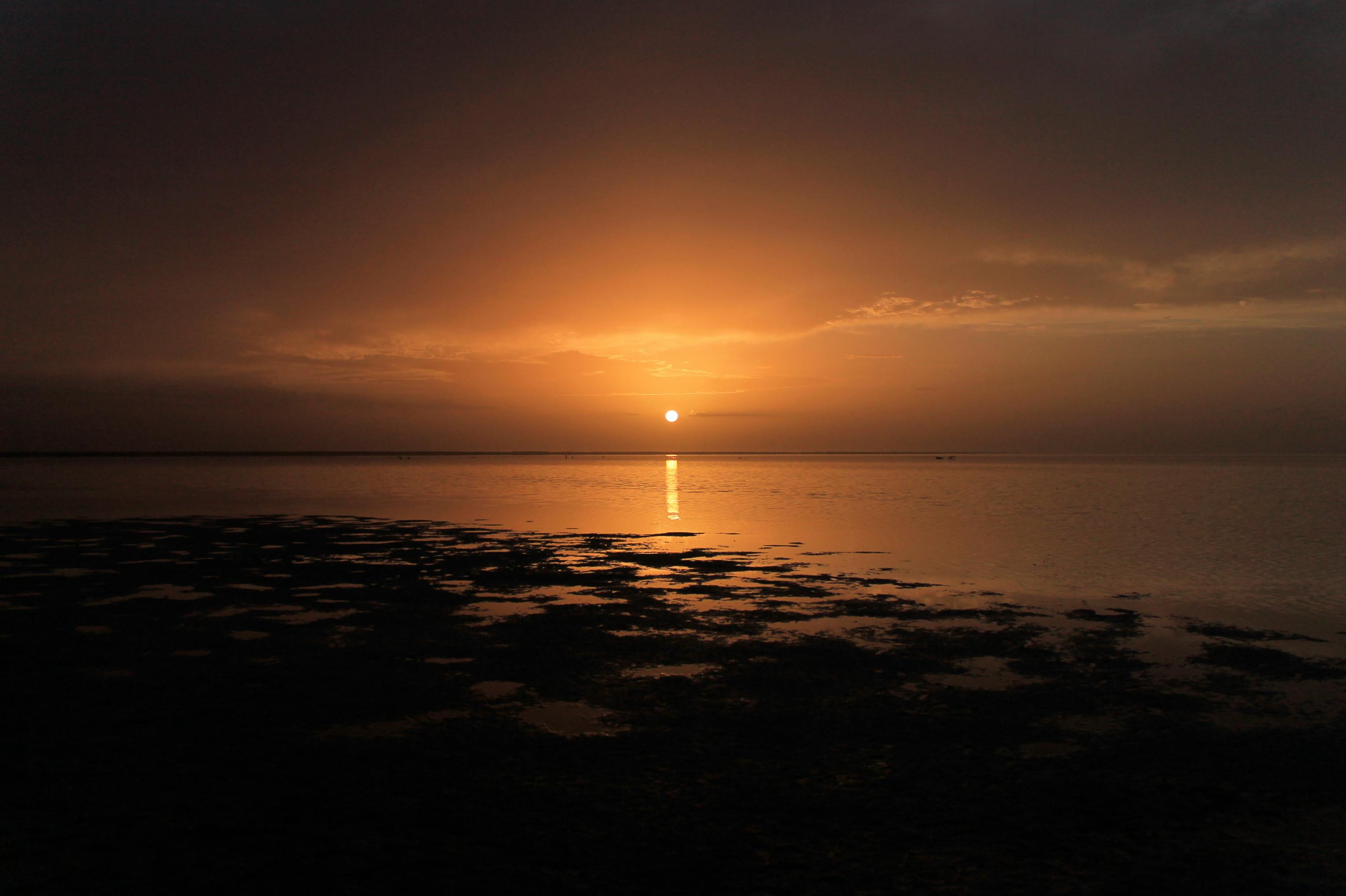 Scenic View of a Beach during Sunset · Free Stock Photo