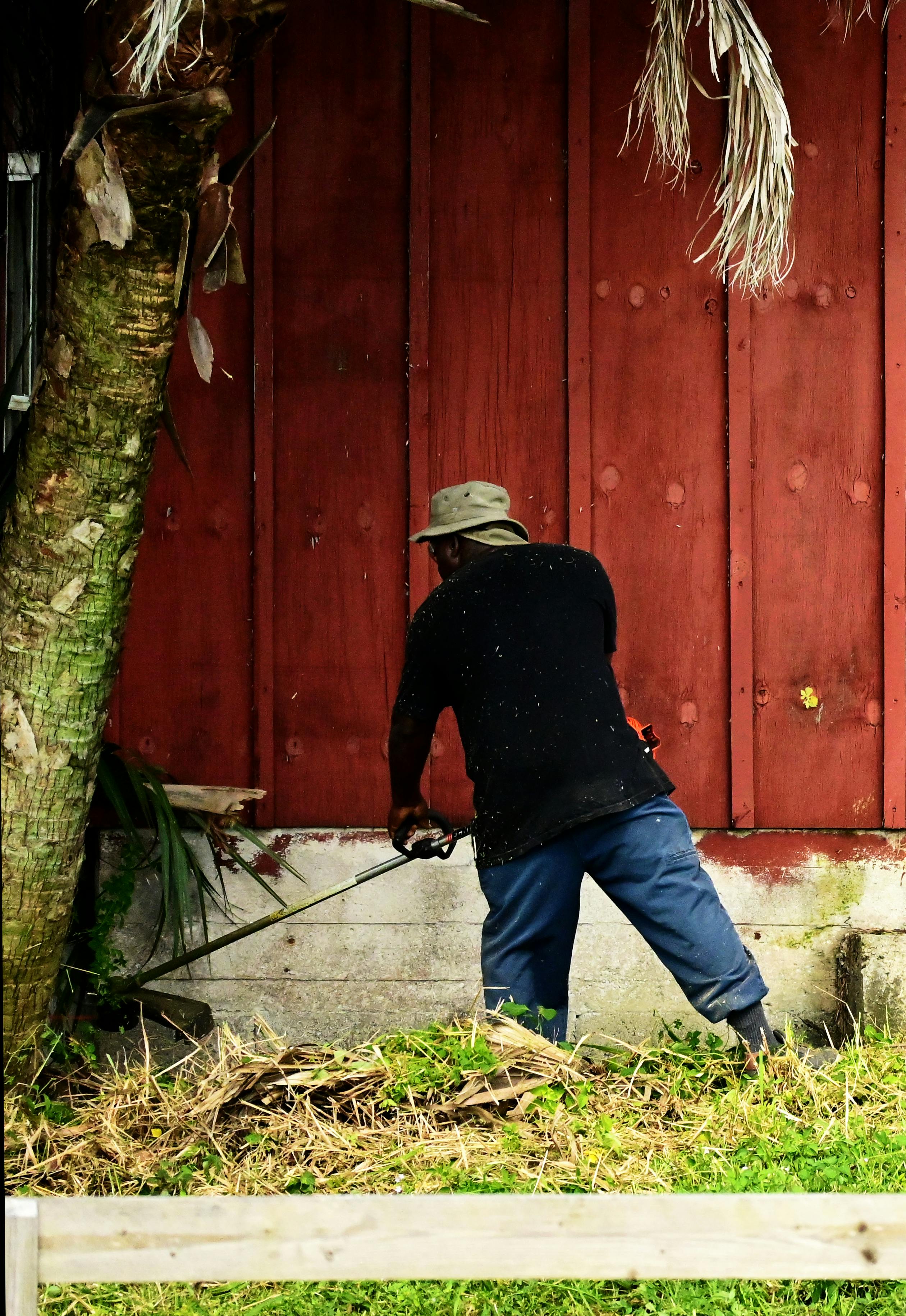 100,000+ Best Landscaping Photos · 100% Free Download · Pexels Stock Photos