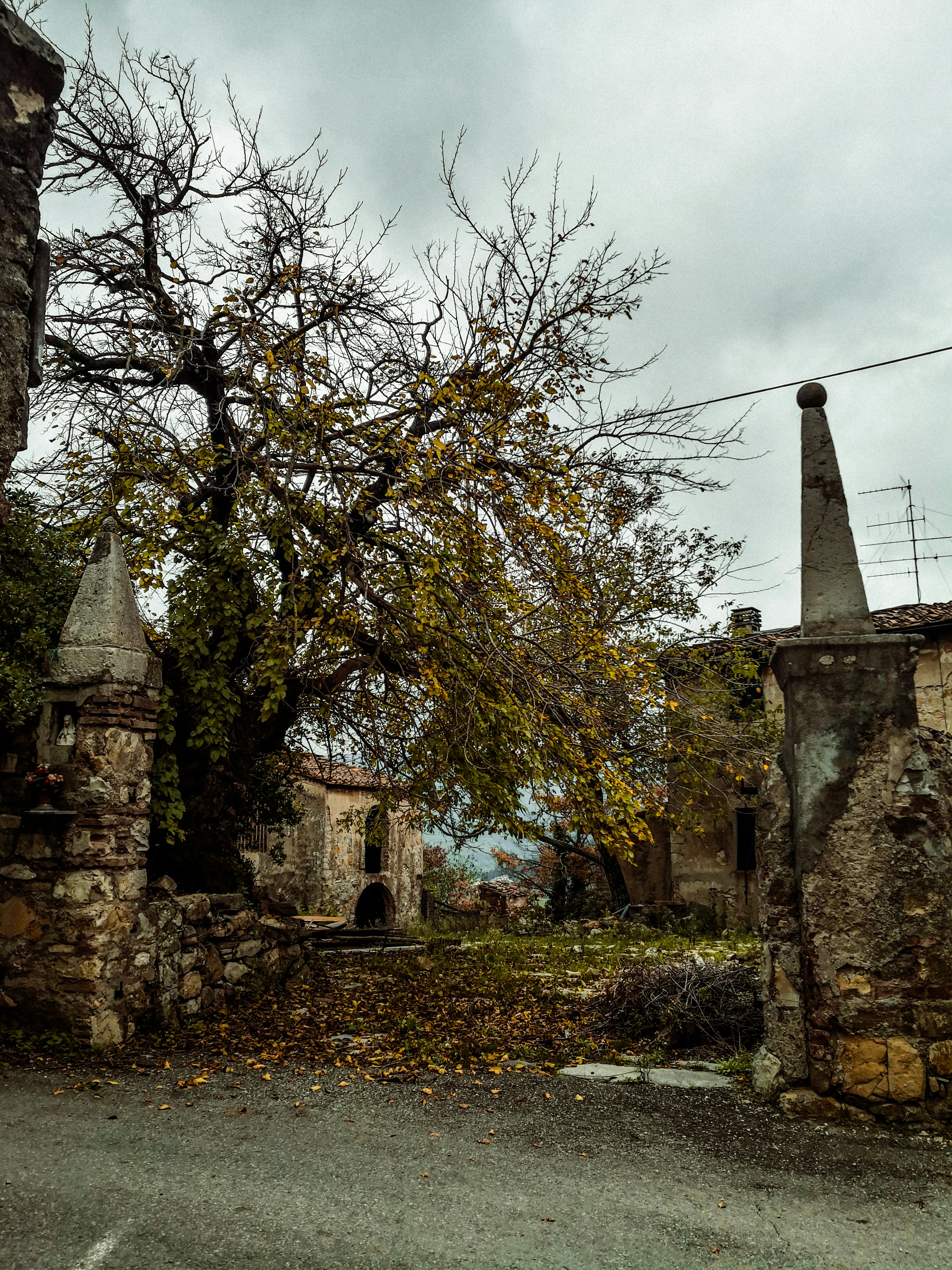 Multi-colored Castle · Free Stock Photo