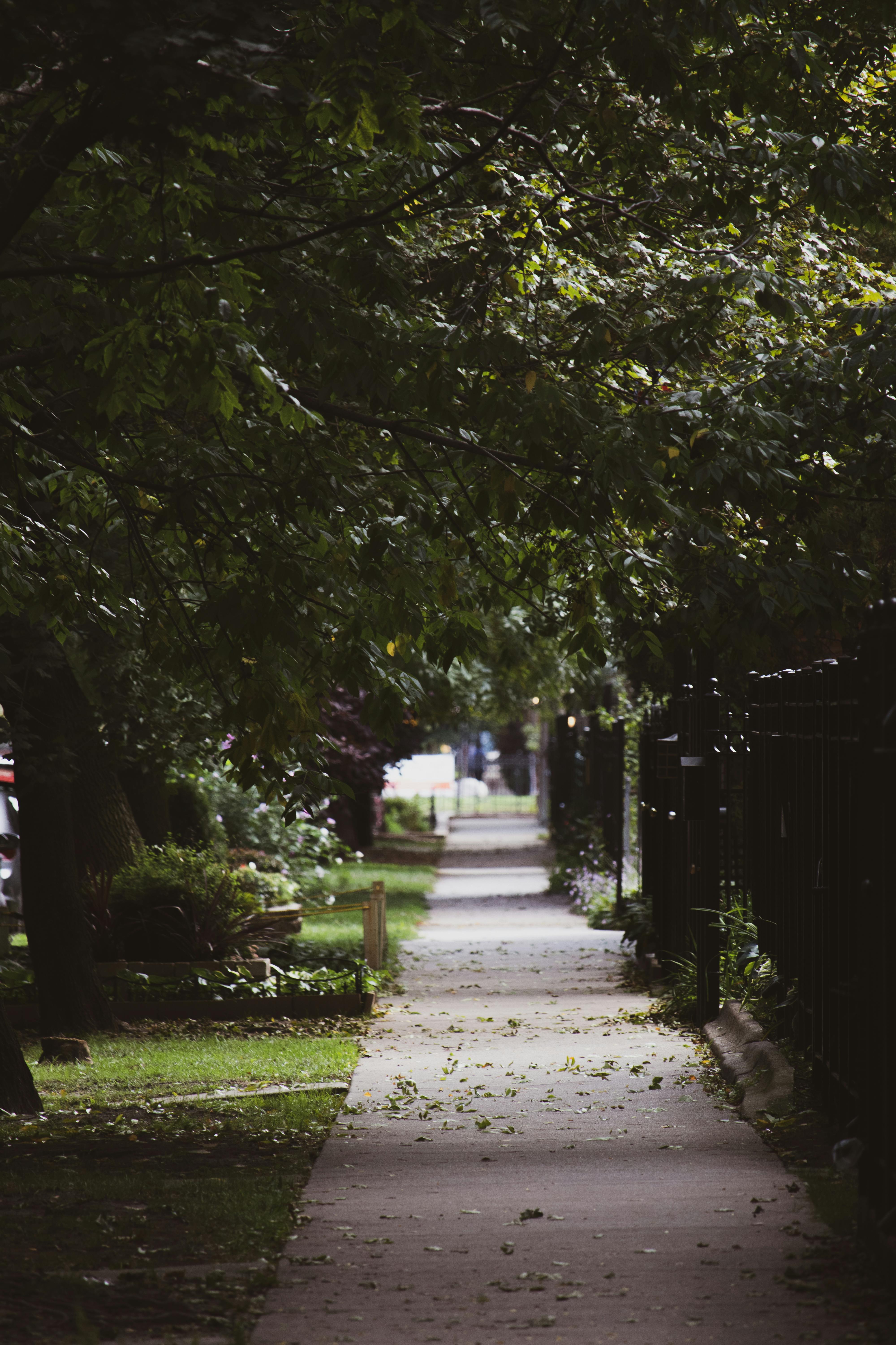 Tony Mucci - Photography